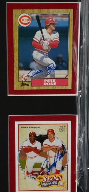 Unusual Big Red Machine Signed Display COA | EBTH