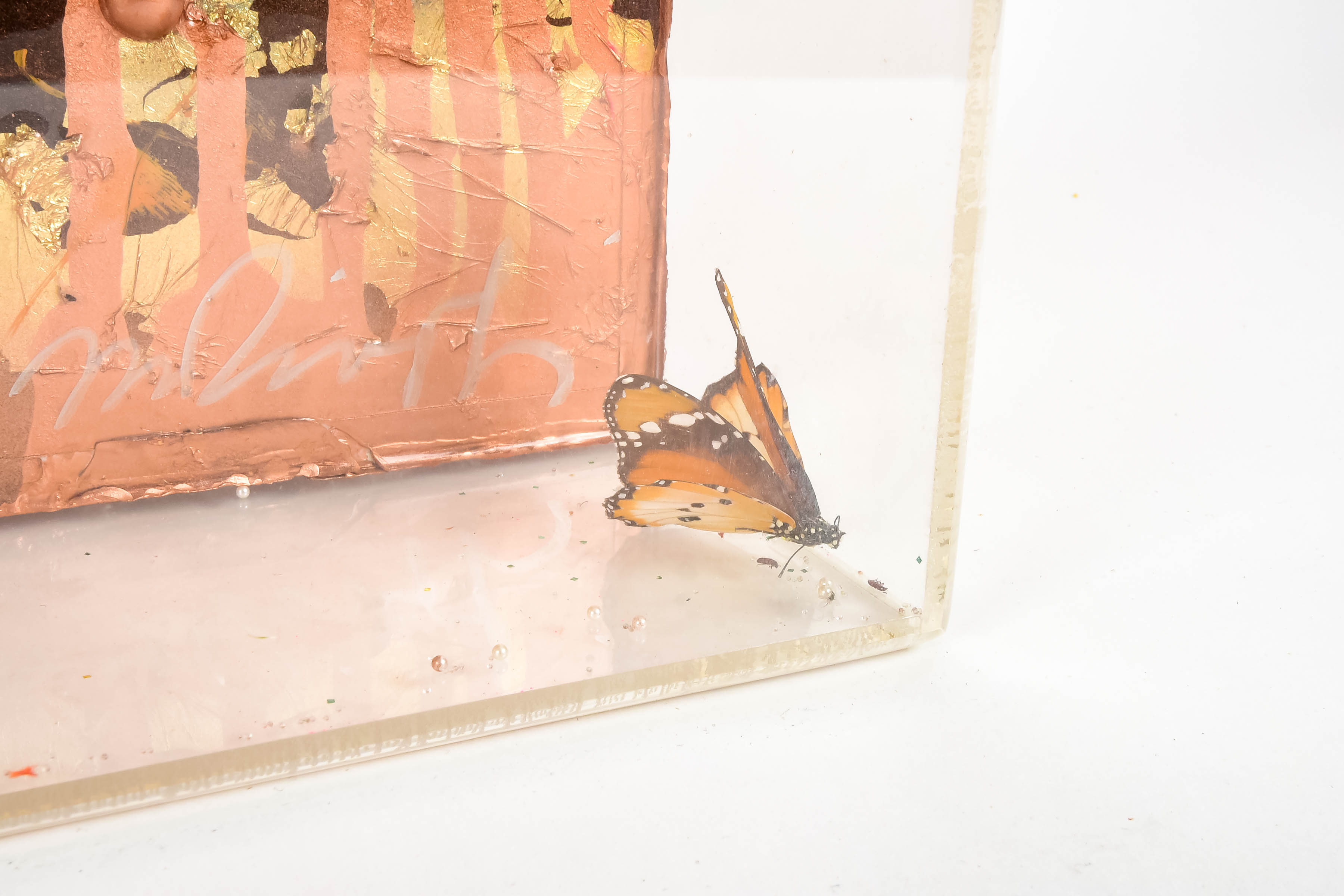 Butterfly Multi-Media Original Art By Mario Rivoli | EBTH
