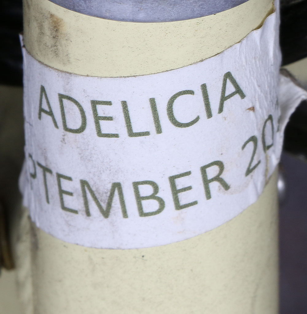 Trek Calypso Beach Cruiser Bicycle in Pale Yellow | EBTH