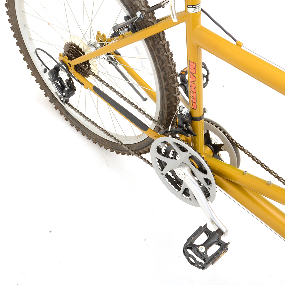 Mantis "Sidekick" Tandem Bicycle - WVXU | EBTH