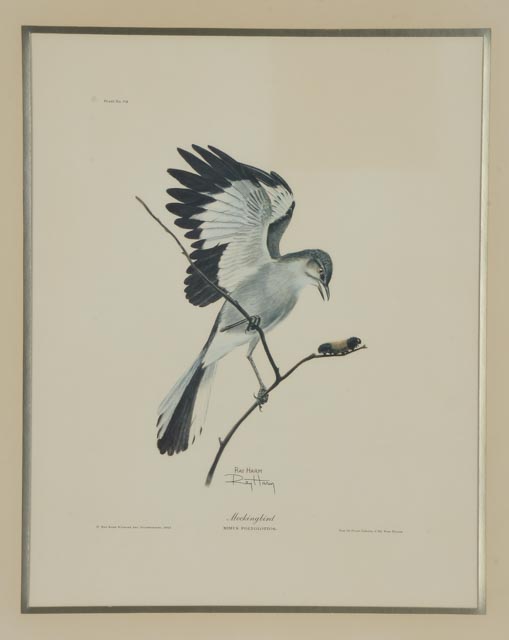 Ray Harm Vintage Signed Print "Mockingbird" | EBTH