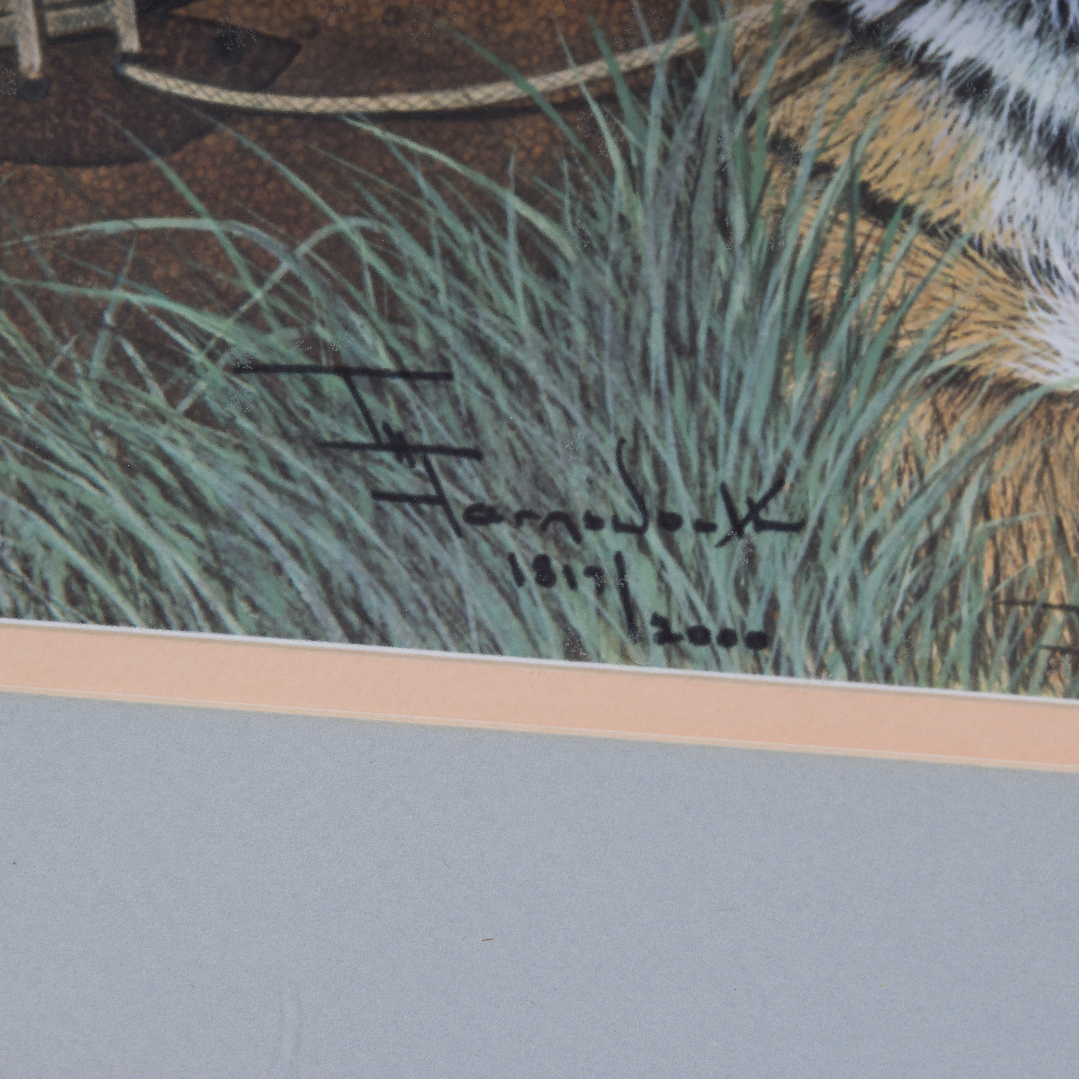 Signed Limited Edition Tiger and Leopard Cub Lithographs by Imogene ...