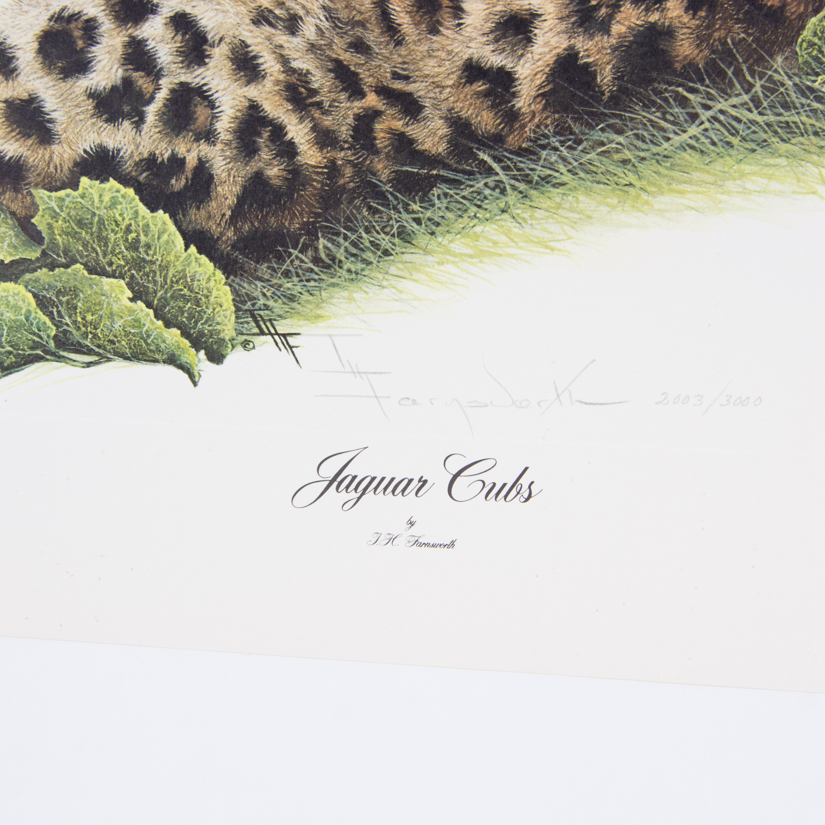Signed Limited Edition Cub Theme Lithographs by Imogene Farnsworth | EBTH