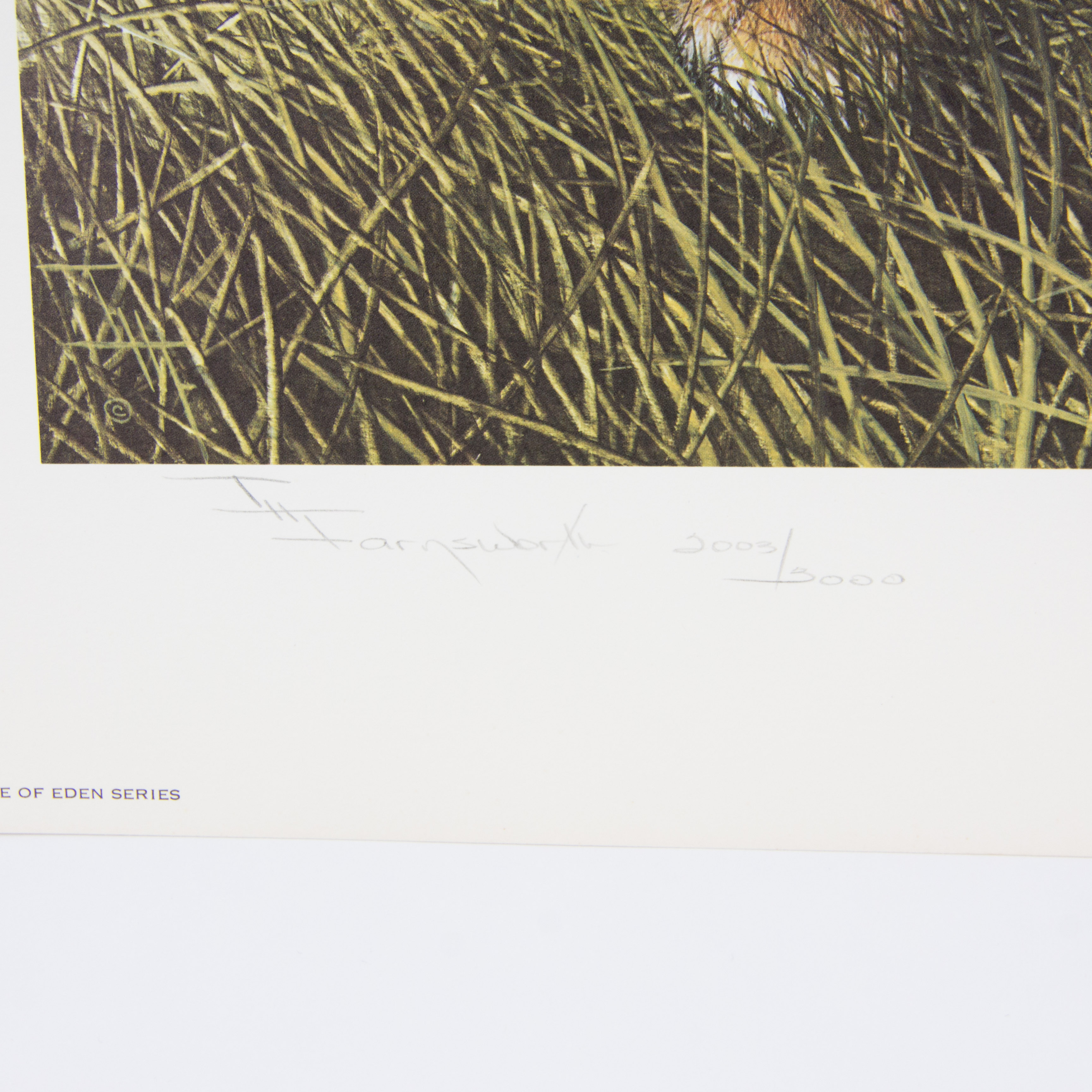 Signed Limited Edition Cub Theme Lithographs by Imogene Farnsworth | EBTH