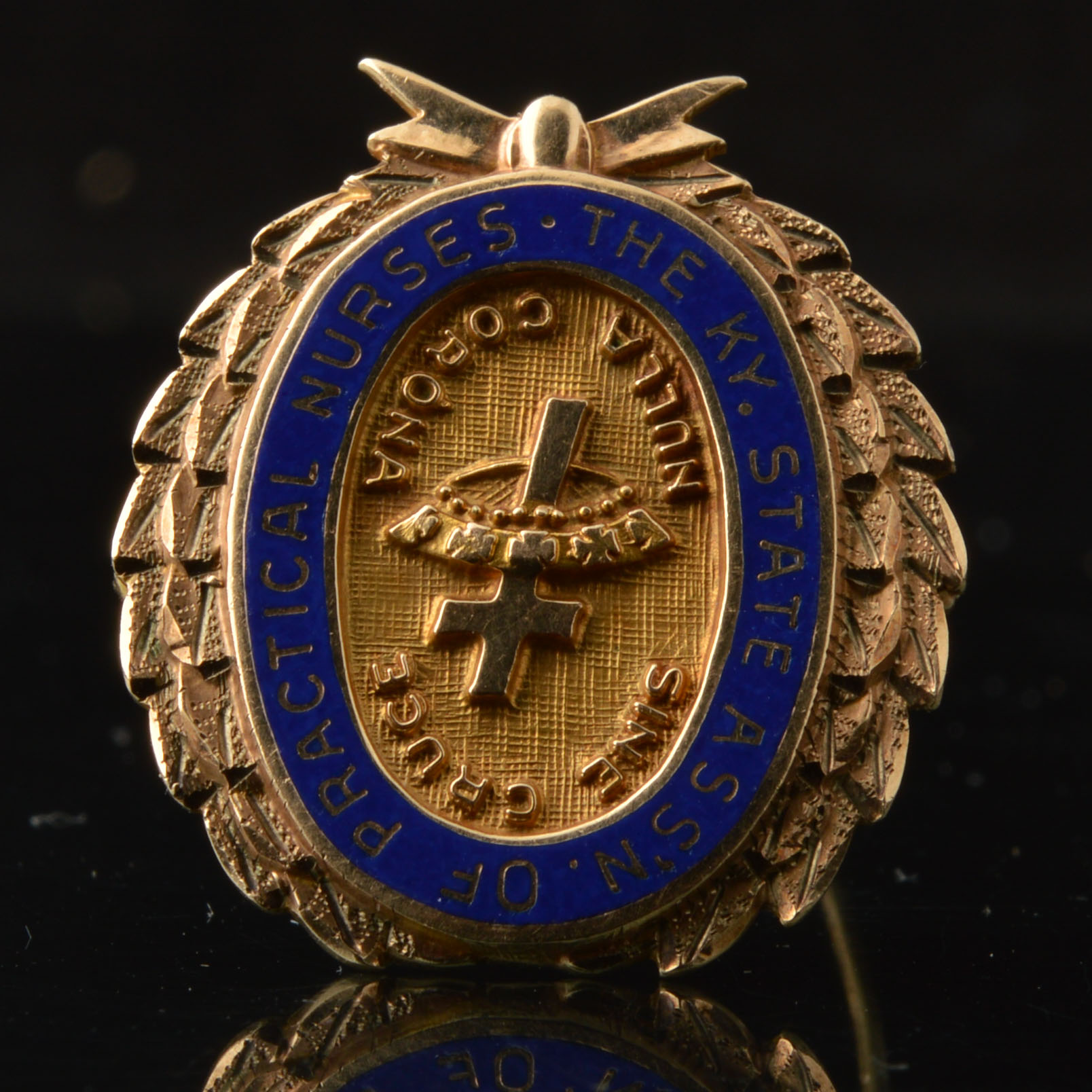 10K Yellow Gold Nurse's Pin | EBTH