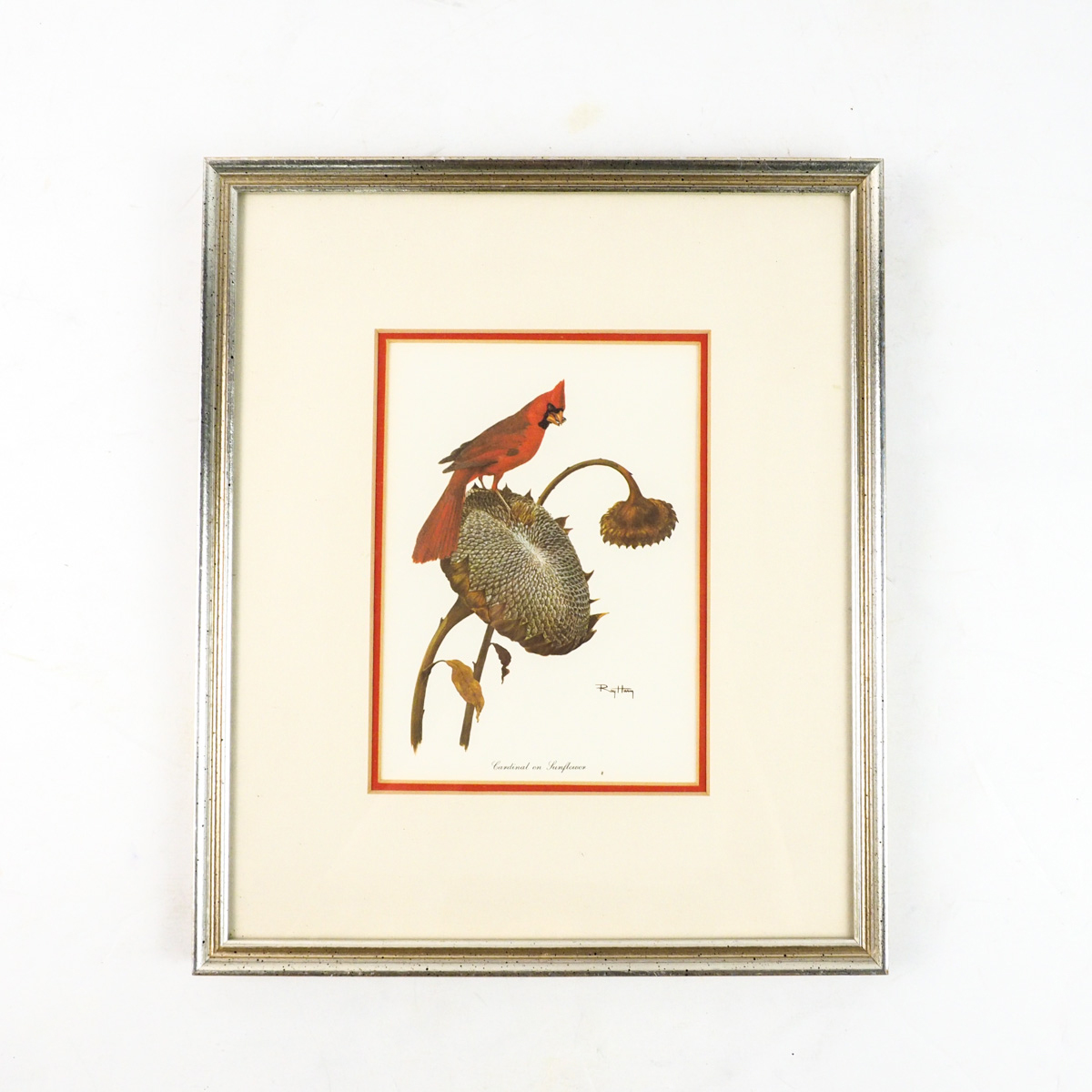 Framed Vintage Fine Art Print After Ray Harm's "Cardinal on Sunflower ...