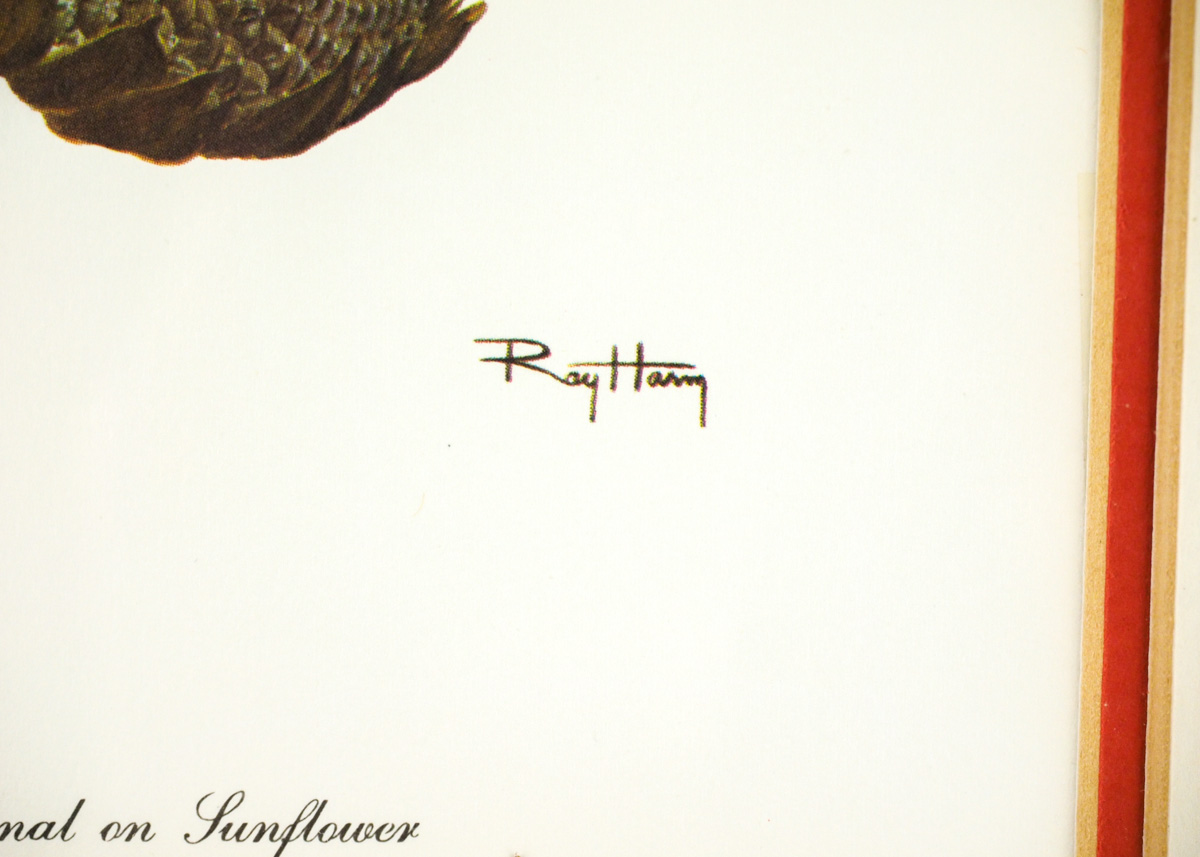 Framed Vintage Fine Art Print After Ray Harm's "Cardinal on Sunflower ...