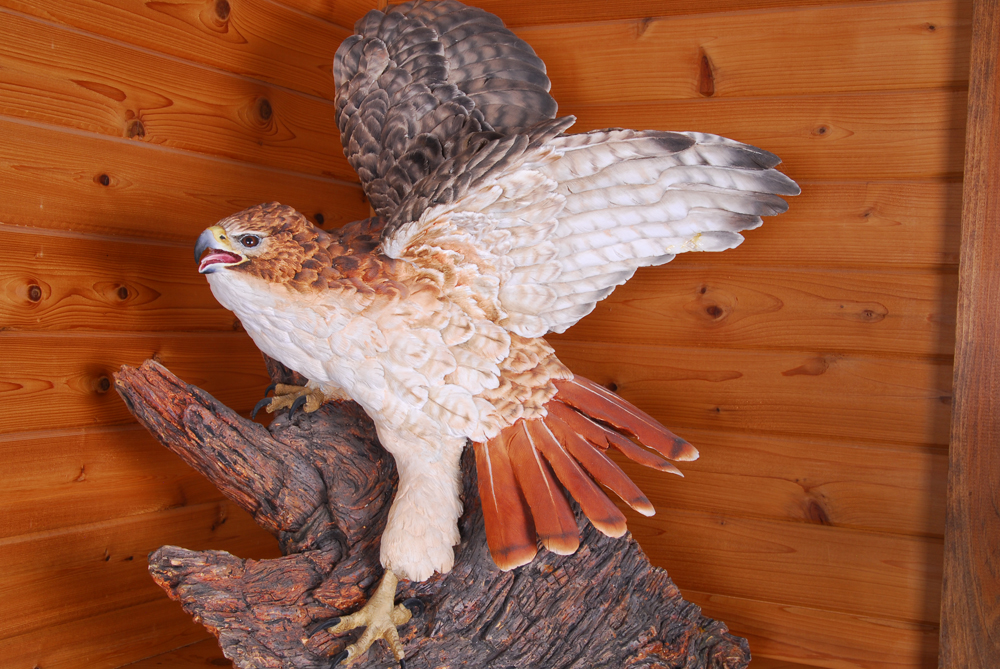 Paul Brunelle Fired Clay Red Tail Hawk Sculpture | EBTH