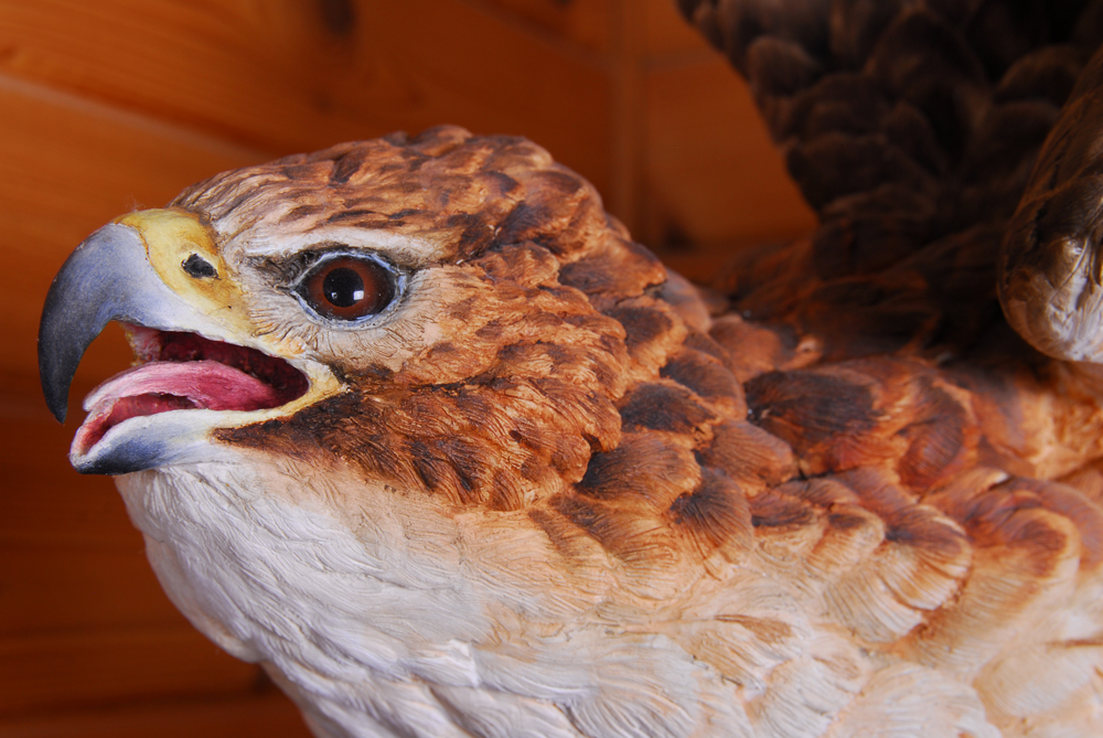 Paul Brunelle Fired Clay Red Tail Hawk Sculpture | EBTH