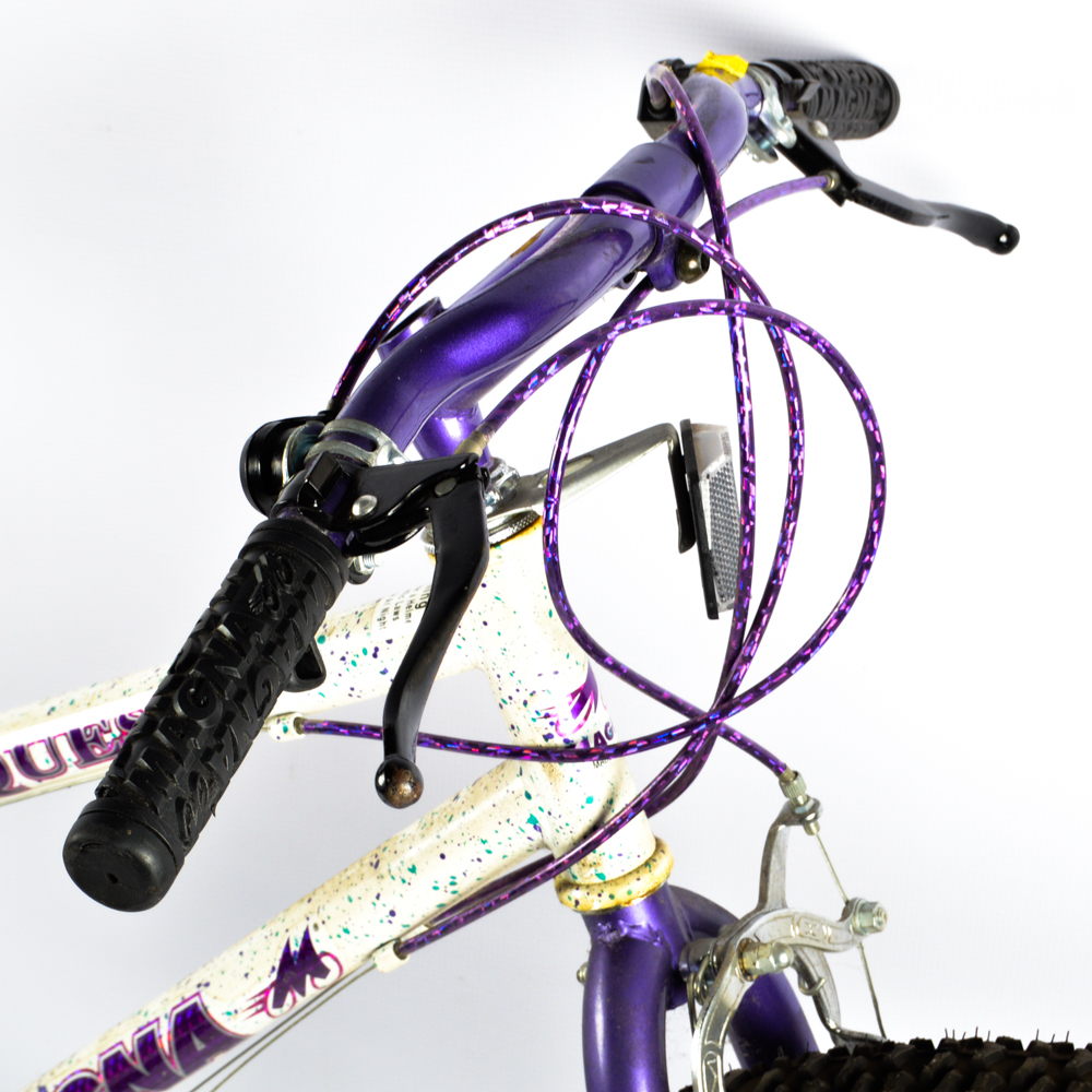 Skyquest Magna Girl's Speed Bike | EBTH