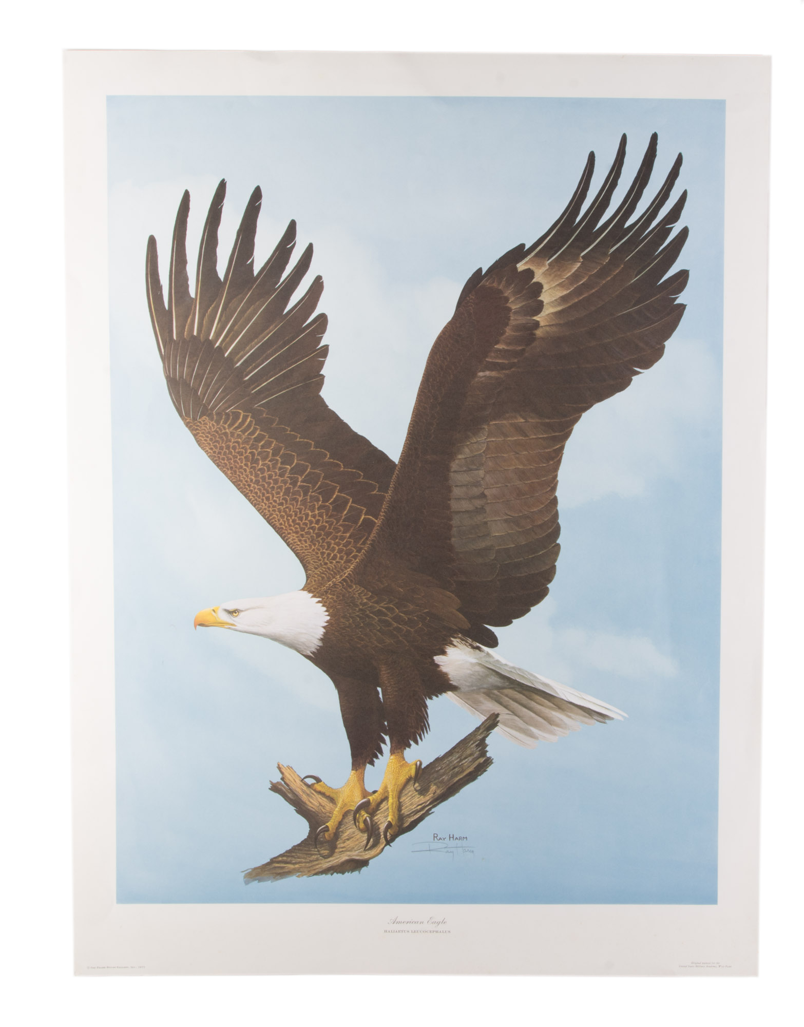 Ray Harm Signed Offset Lithograph "American Eagle" | EBTH