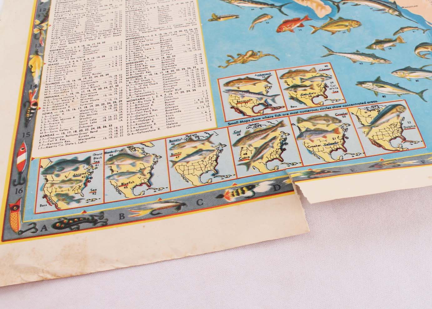 Vintage Sportsmen's Fishing Map Poster | EBTH