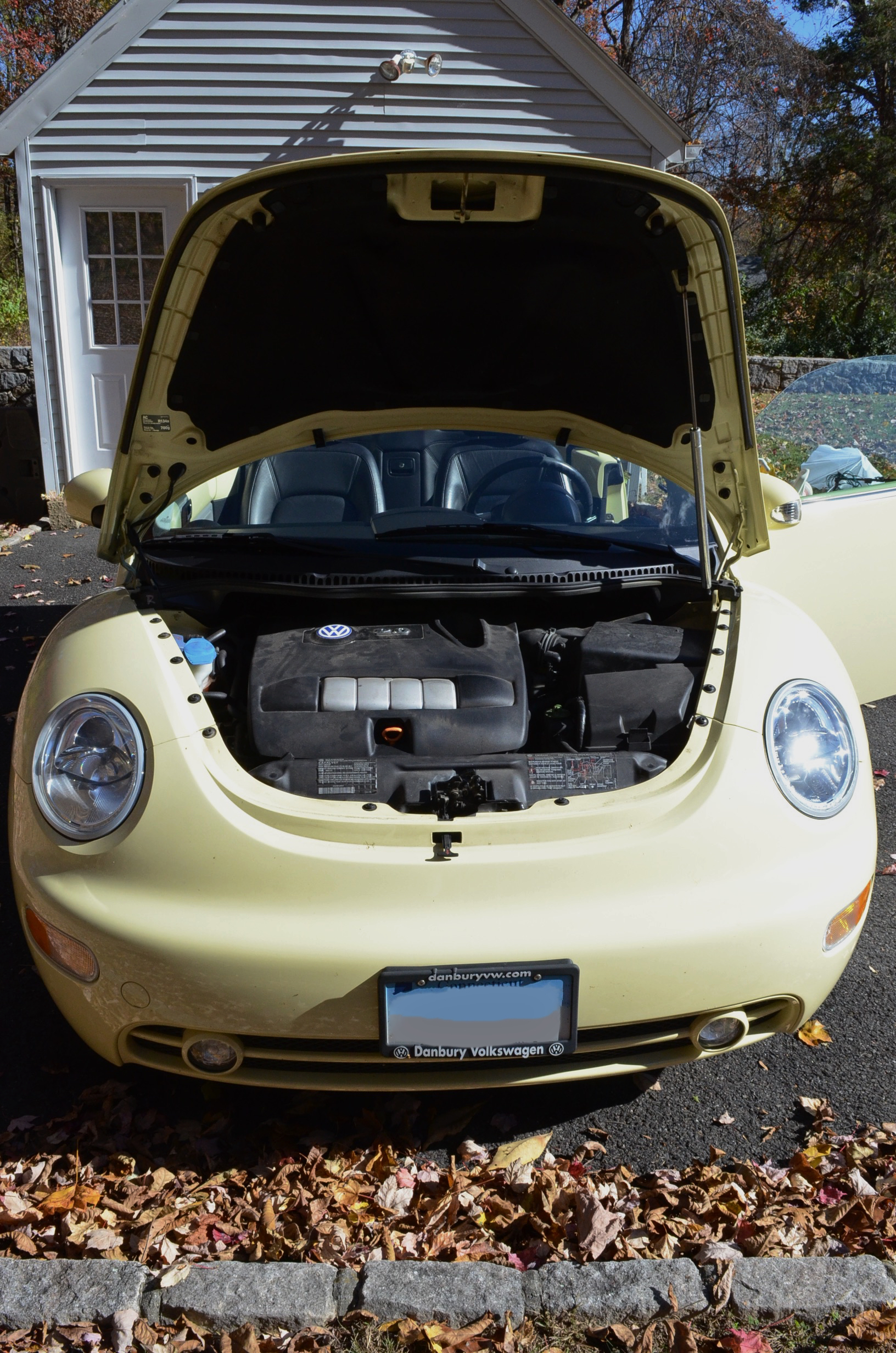 2003 Volkswagen Beetle Convertible | EBTH