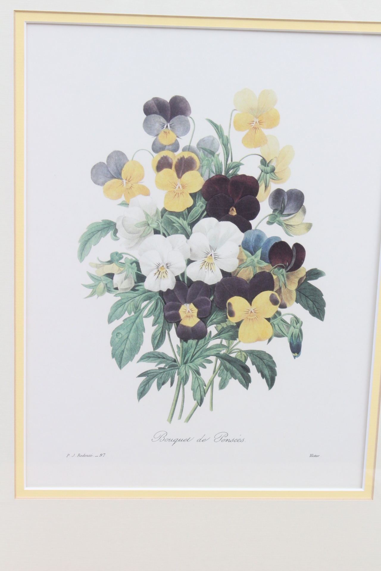 Grouping of Botanical Offset Lithograph Prints | EBTH