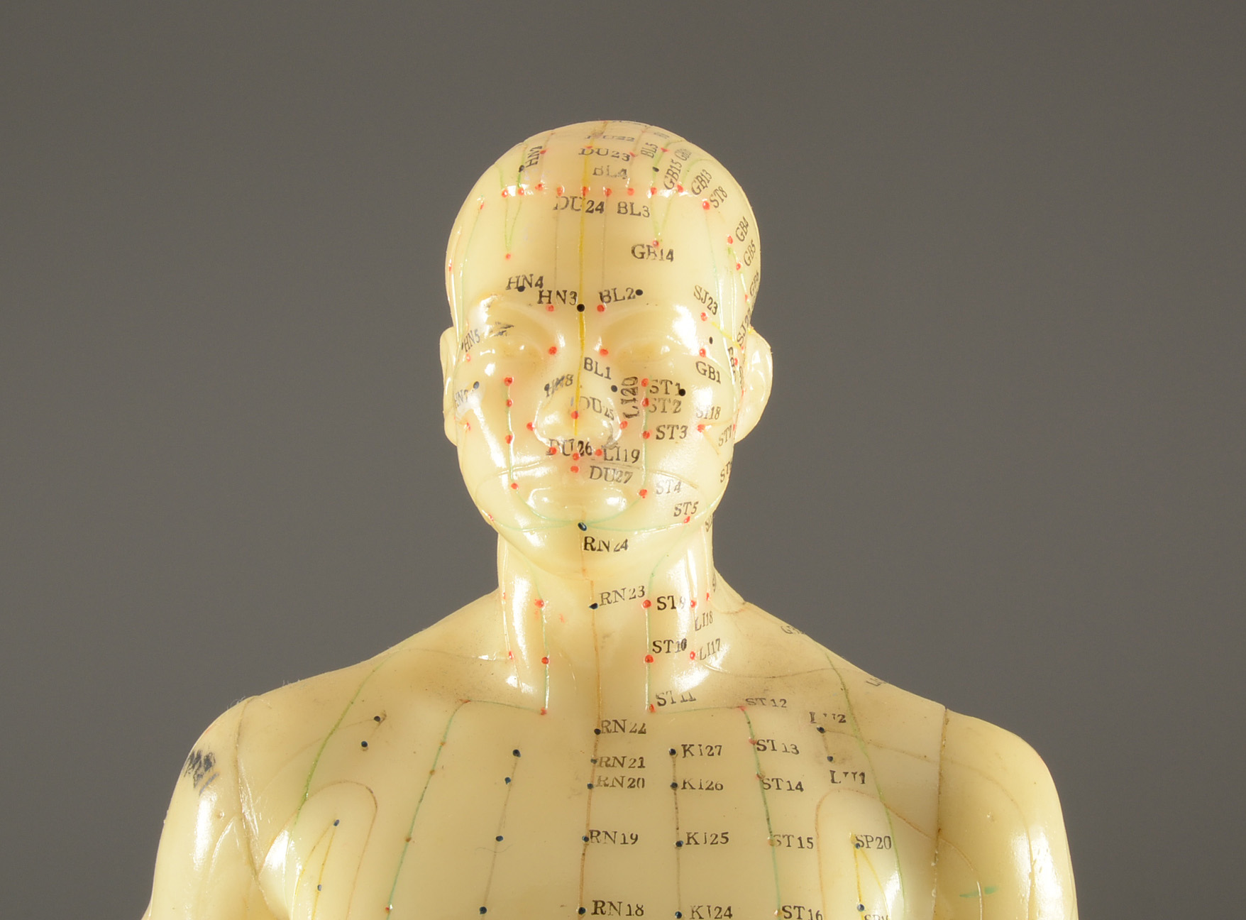 Vintage Acupuncture Model | EBTH