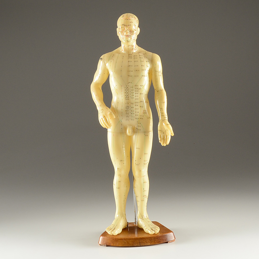 Vintage Acupuncture Model | EBTH