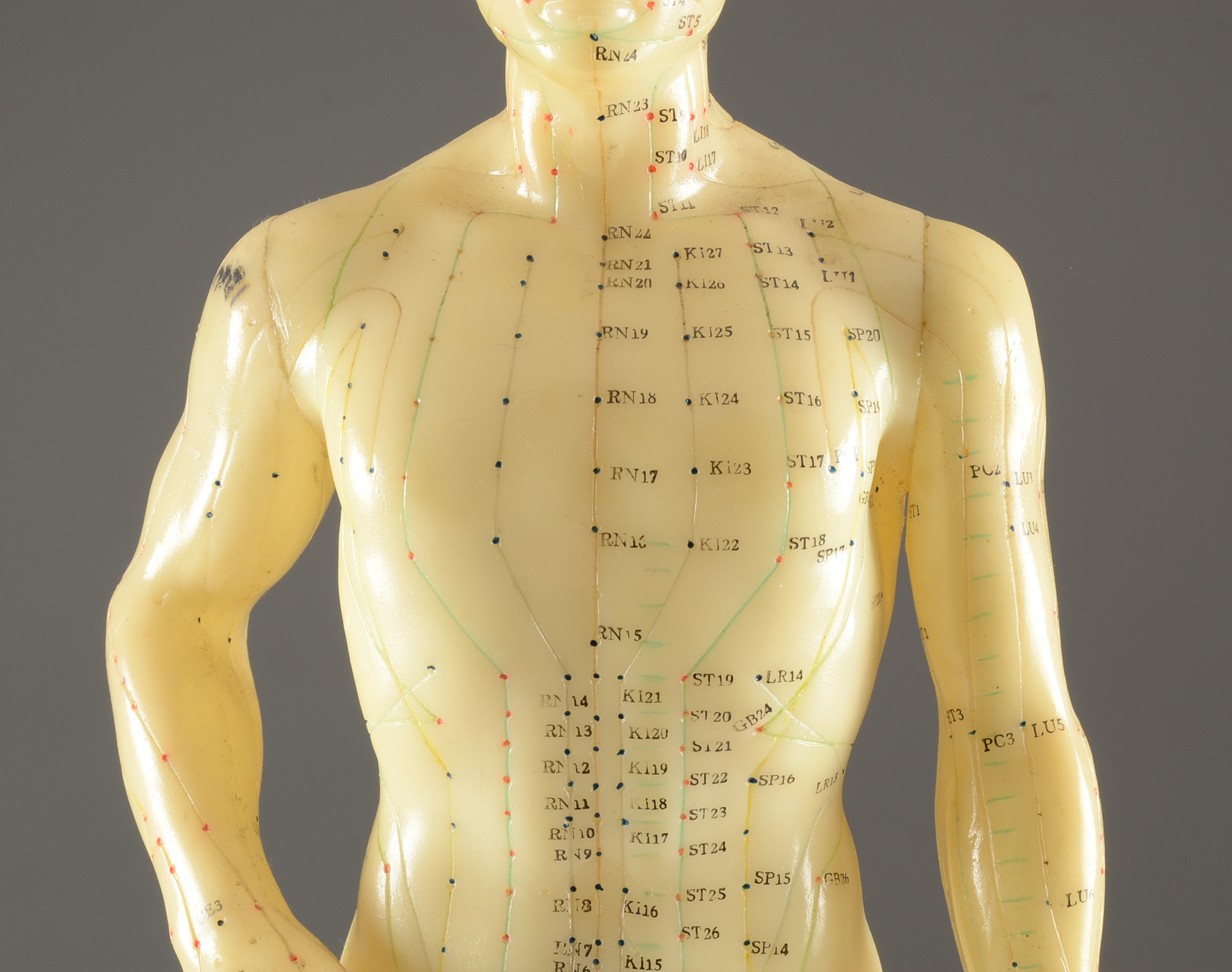 Vintage Acupuncture Model | EBTH