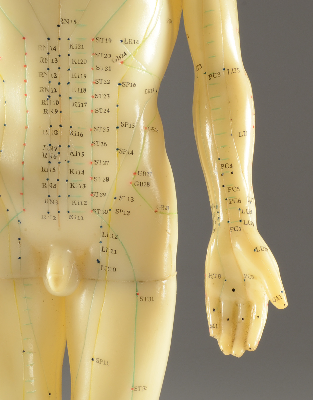 Vintage Acupuncture Model | EBTH