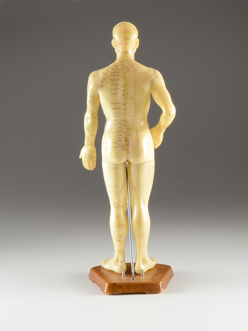Vintage Acupuncture Model | EBTH