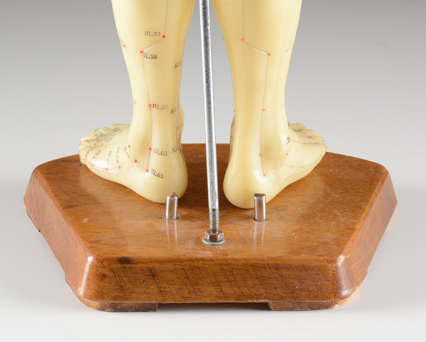 Vintage Acupuncture Model | EBTH