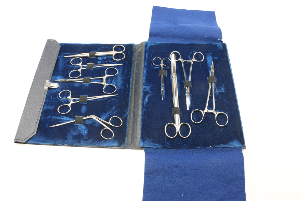 Stainless Steel Surgical Instrument Set in Case | EBTH