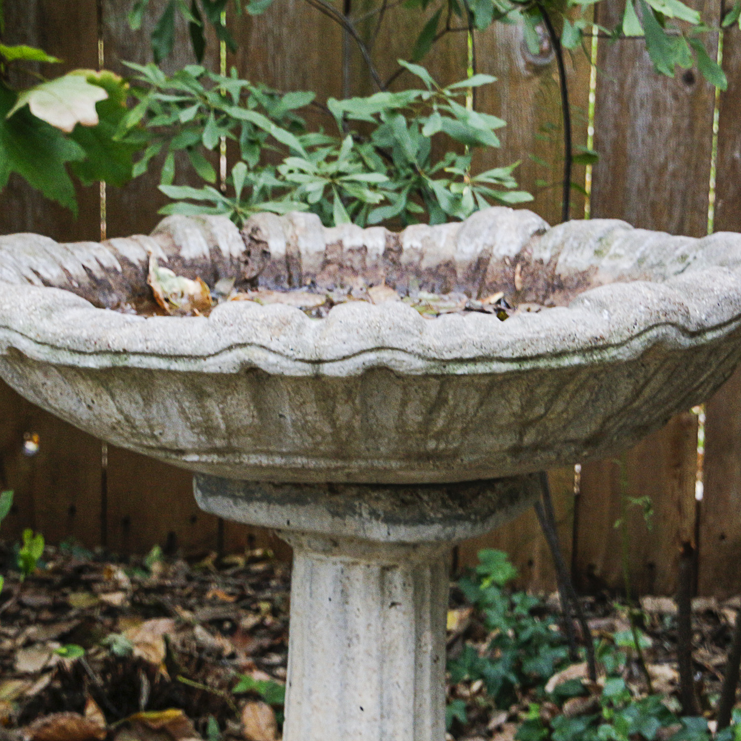 Large Stone Bird Bath | EBTH