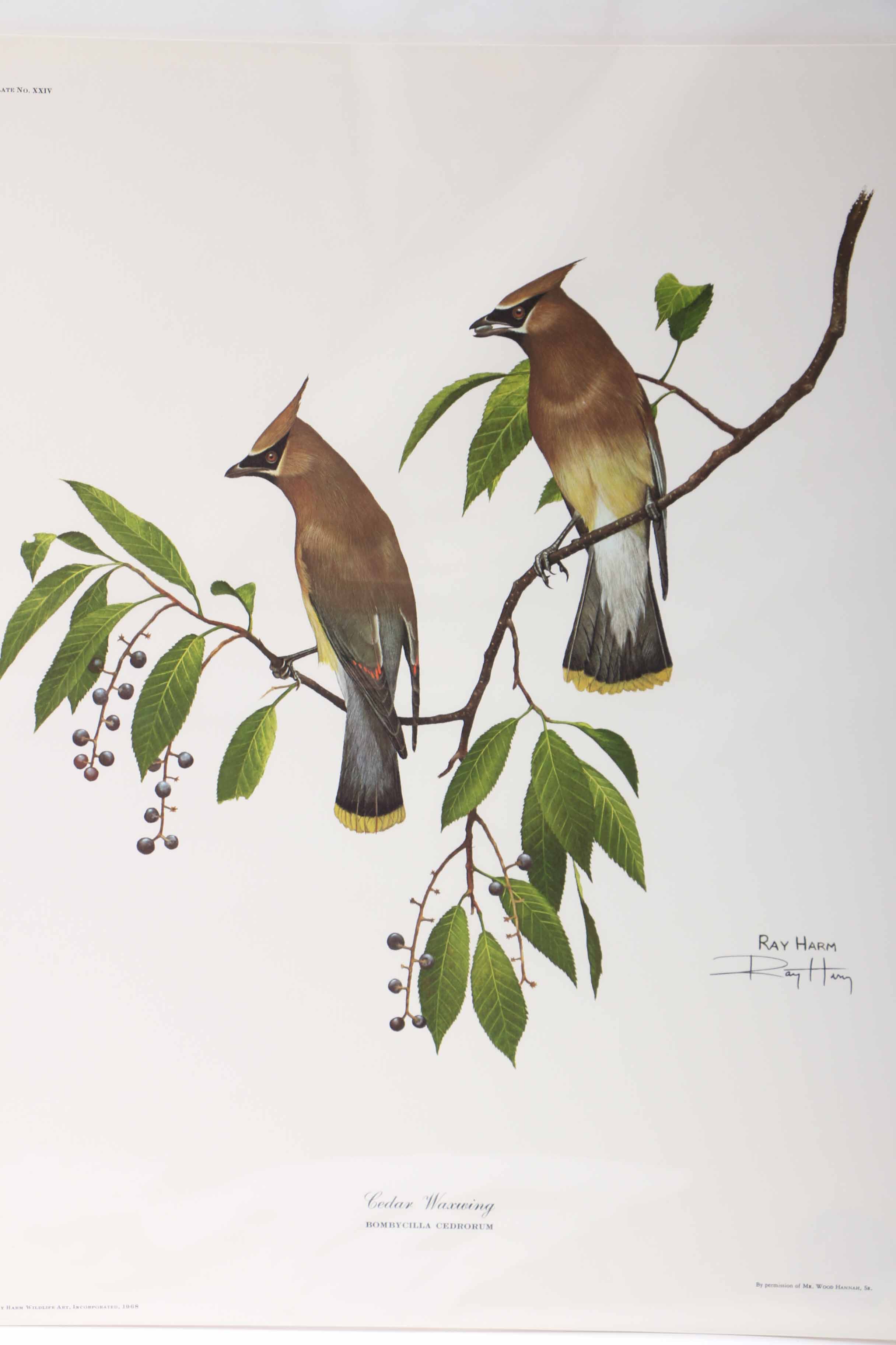 Pair of Ray Harm Offset Lithographs of Birds | EBTH