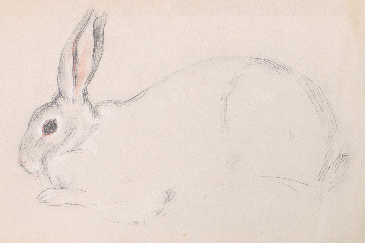 Emily B. Waite Conté Crayon Drawing on Paper of a Rabbit | EBTH