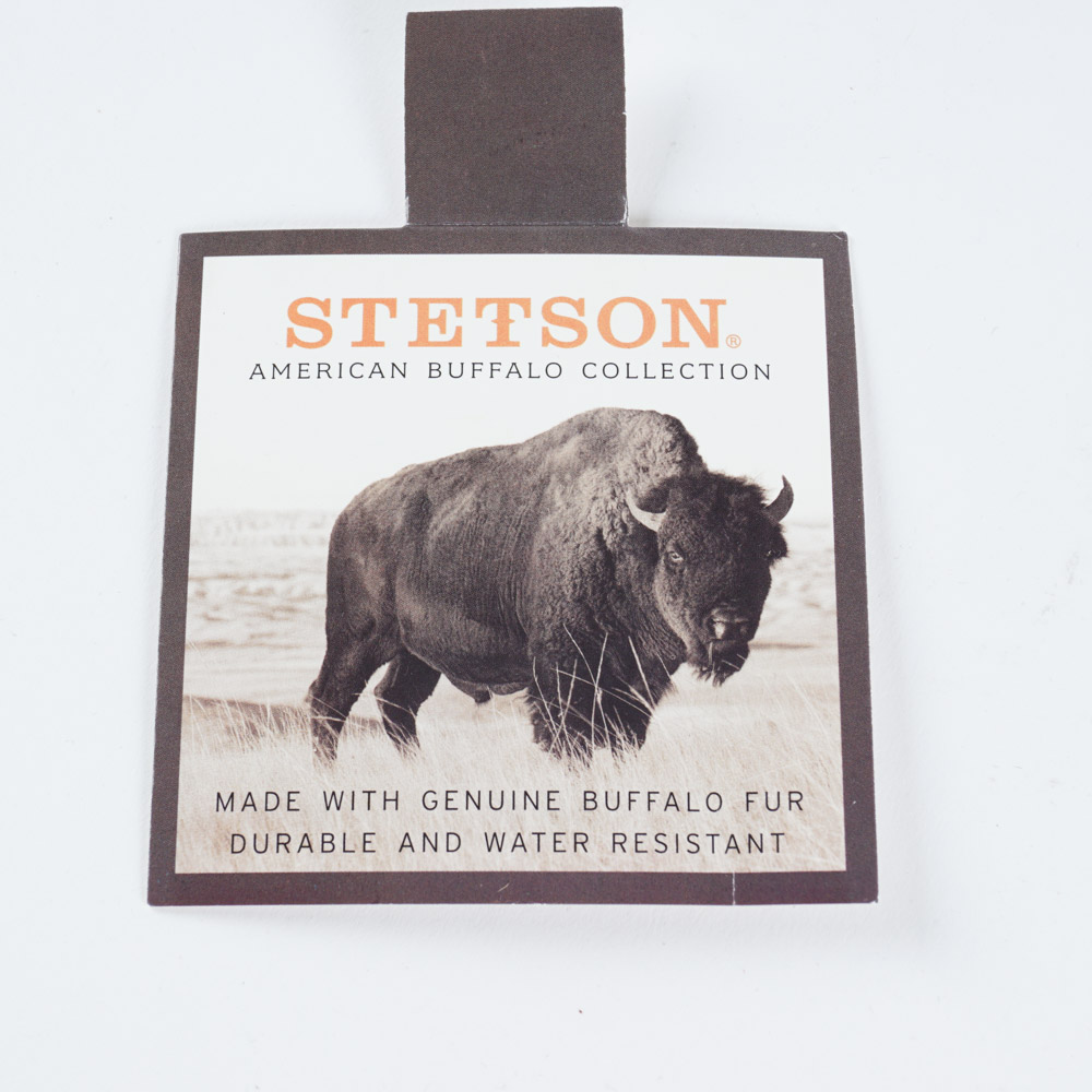 Stetson Cowboy Hat | EBTH