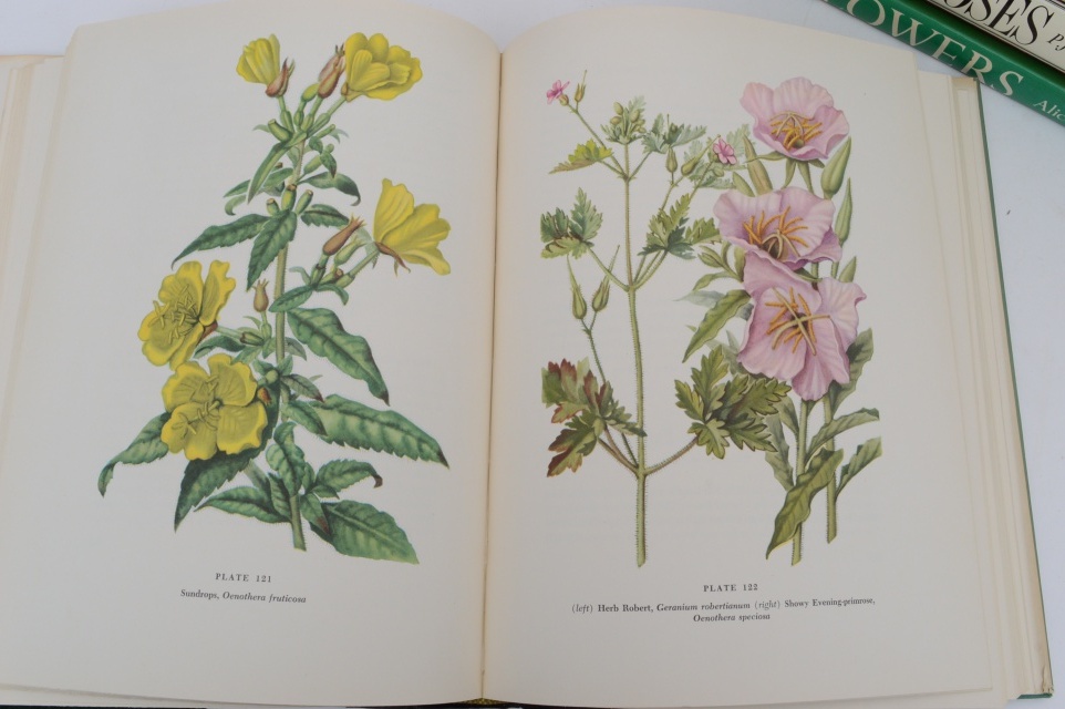 Botanical Illustration Book Collection | EBTH