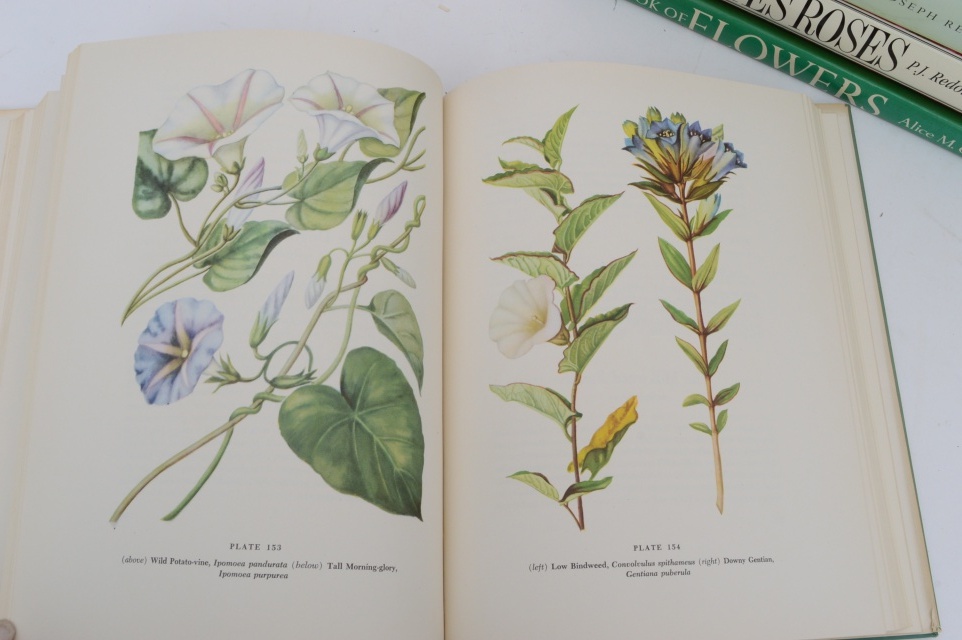 Botanical Illustration Book Collection | EBTH