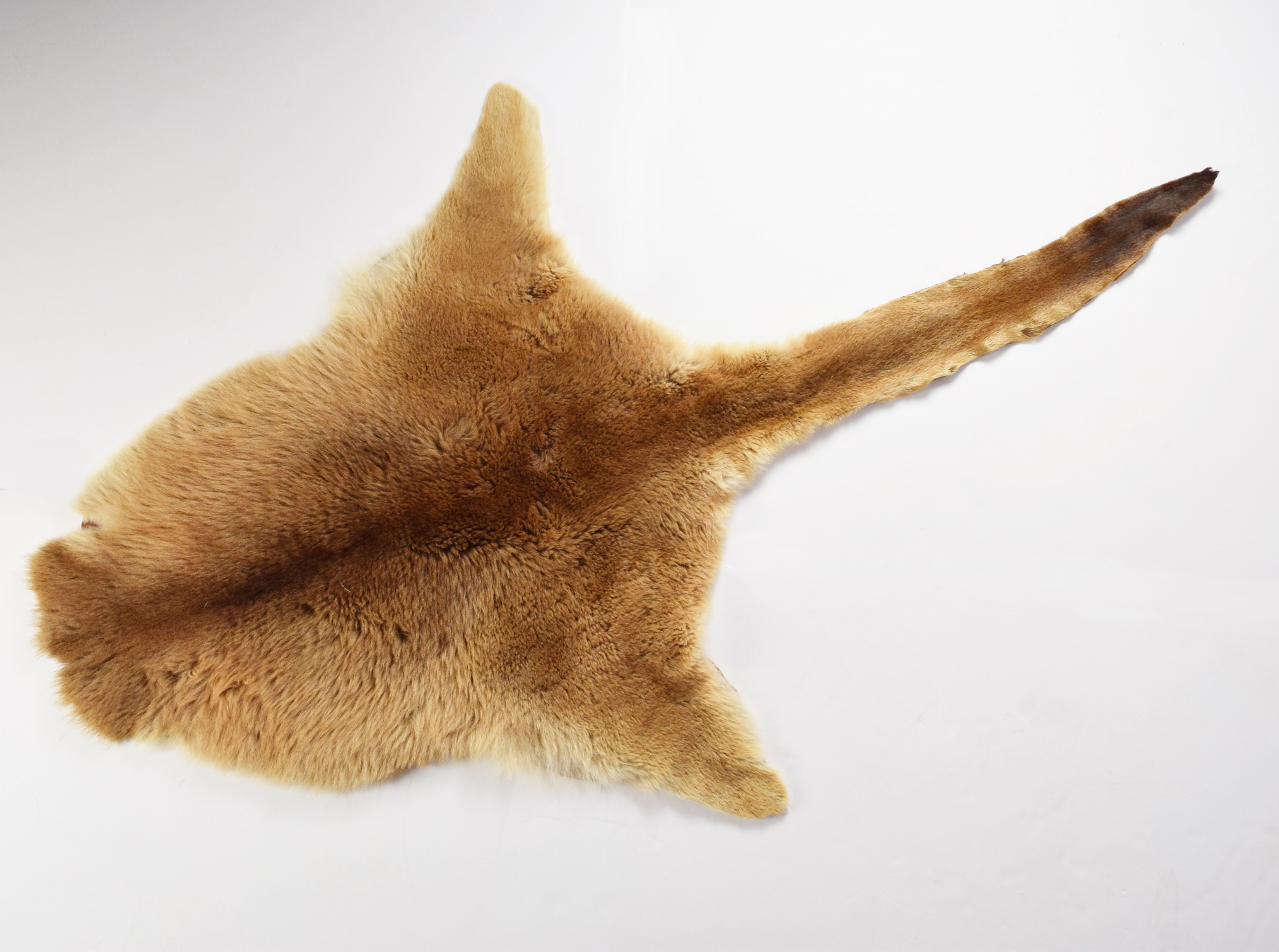 Kangaroo and Caribou Fur Pelts | EBTH