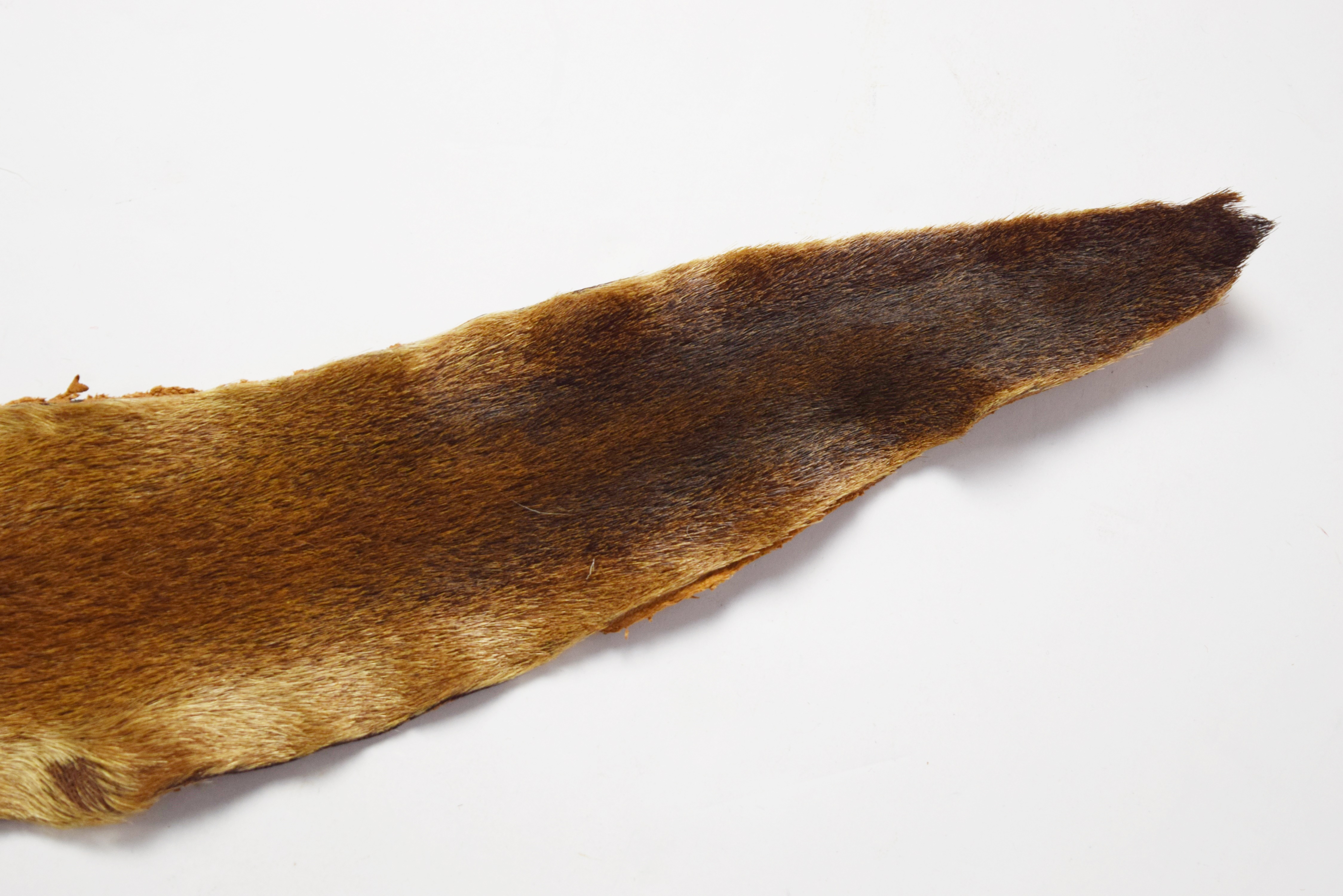 Kangaroo and Caribou Fur Pelts | EBTH