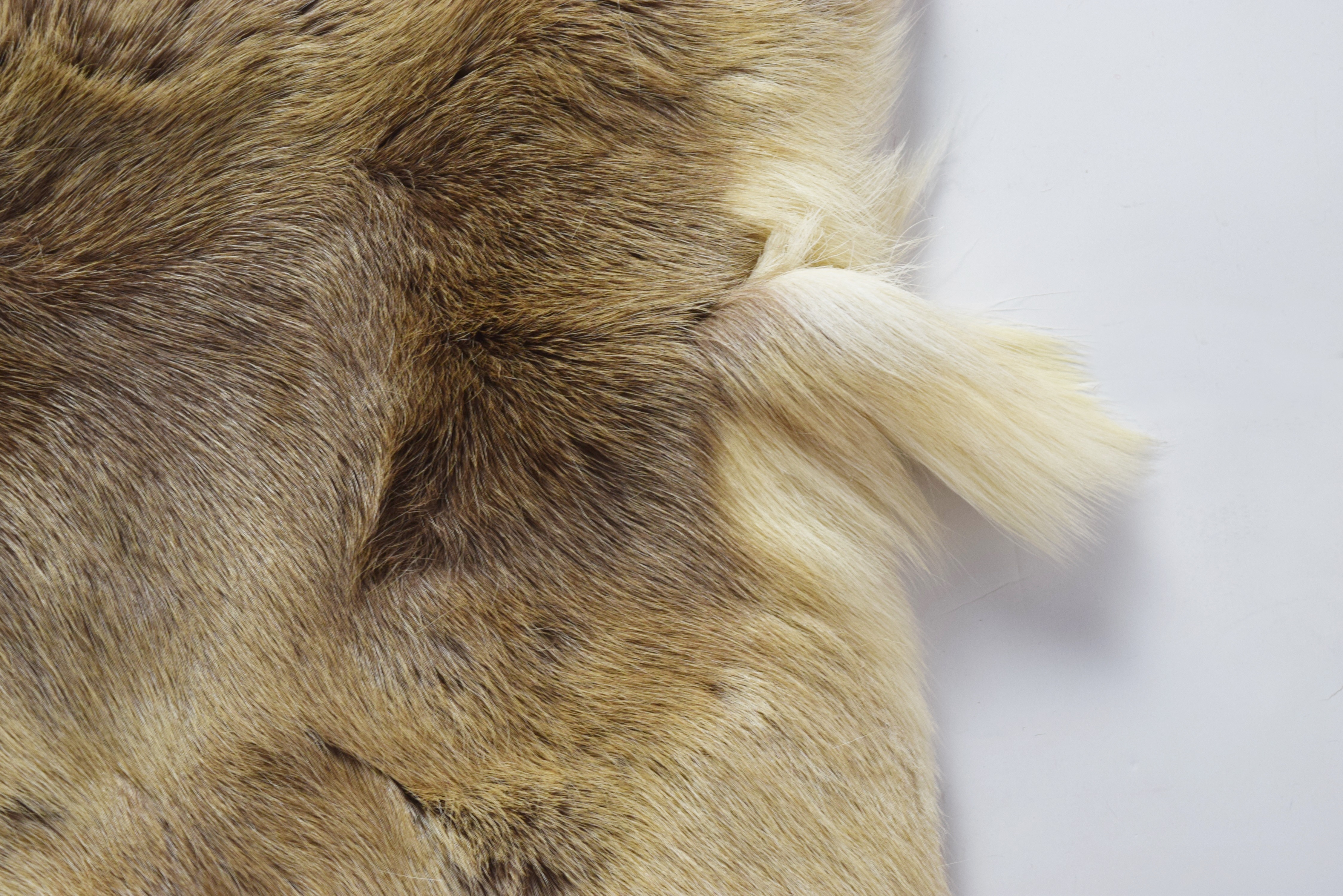 Kangaroo and Caribou Fur Pelts | EBTH