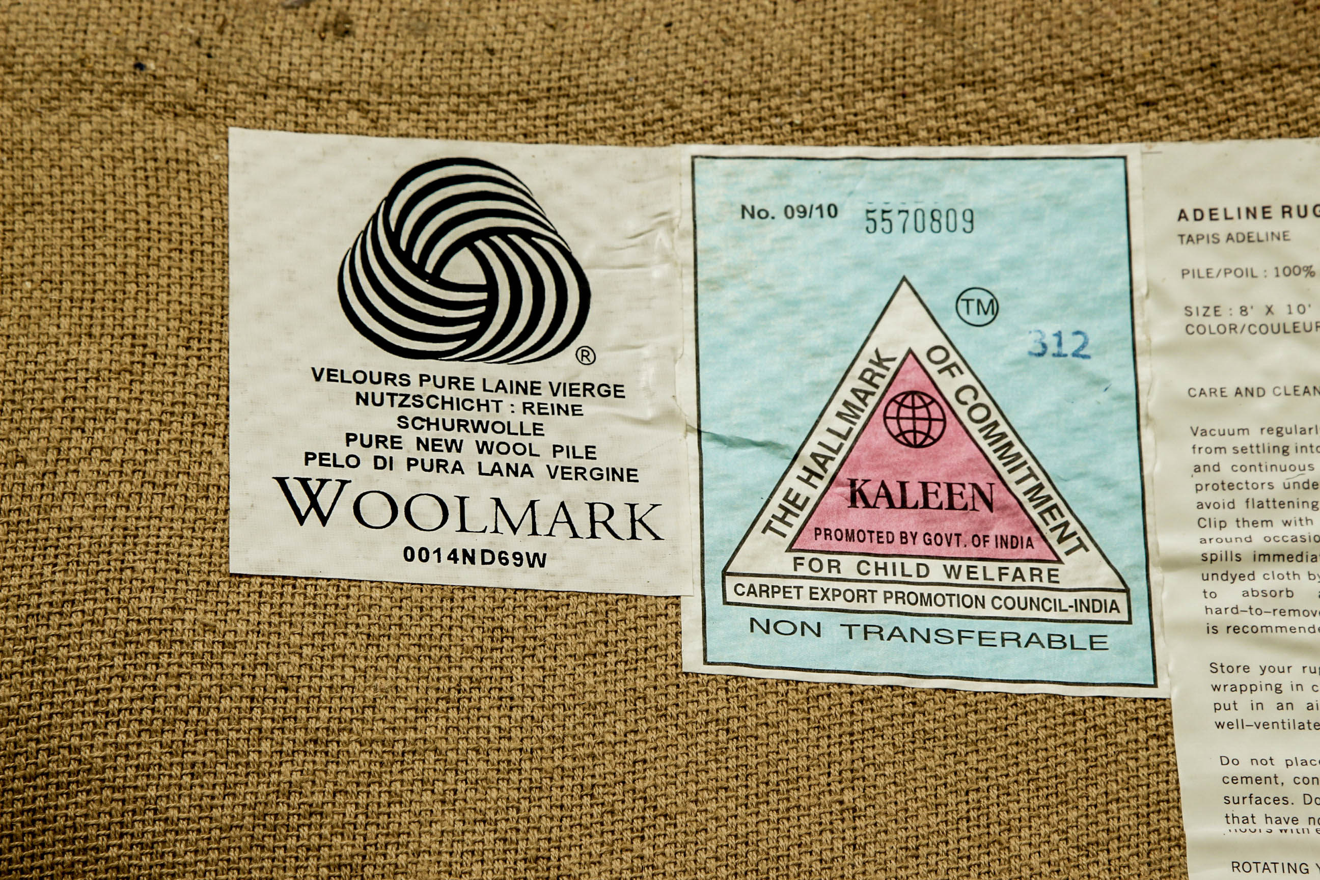 Tufted Pottery Barn "Tapis Adeline" Wool Area Rug | EBTH