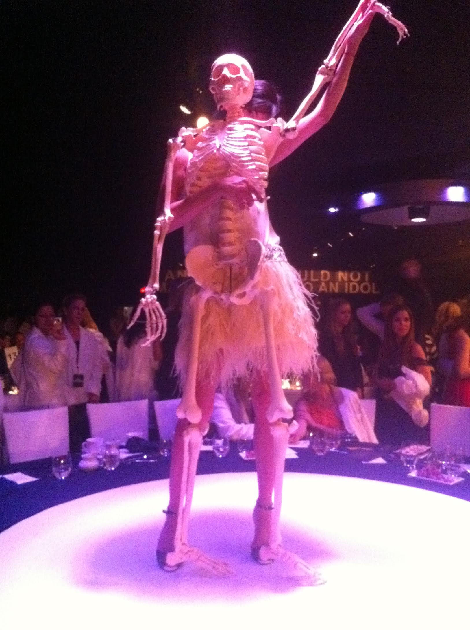 Anatomical Skeleton Model from the Marina Abramovic Art Gala 2011 | EBTH