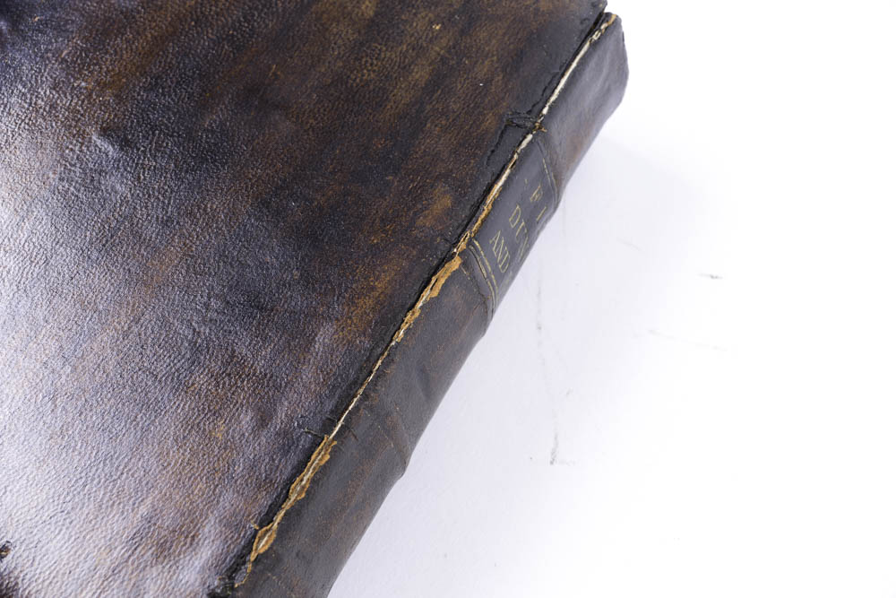 First Edition 1865 "The Secret Service: The Field, The Dungeon, and the ...