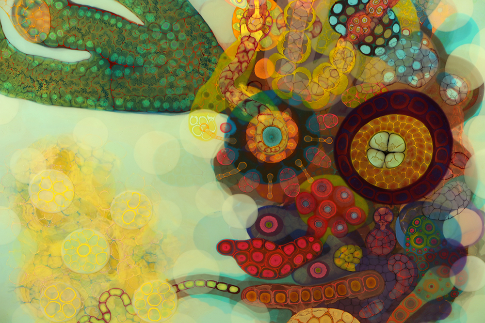 Bruce Riley Mixed Media on Panel "Bee Bonnet" | EBTH