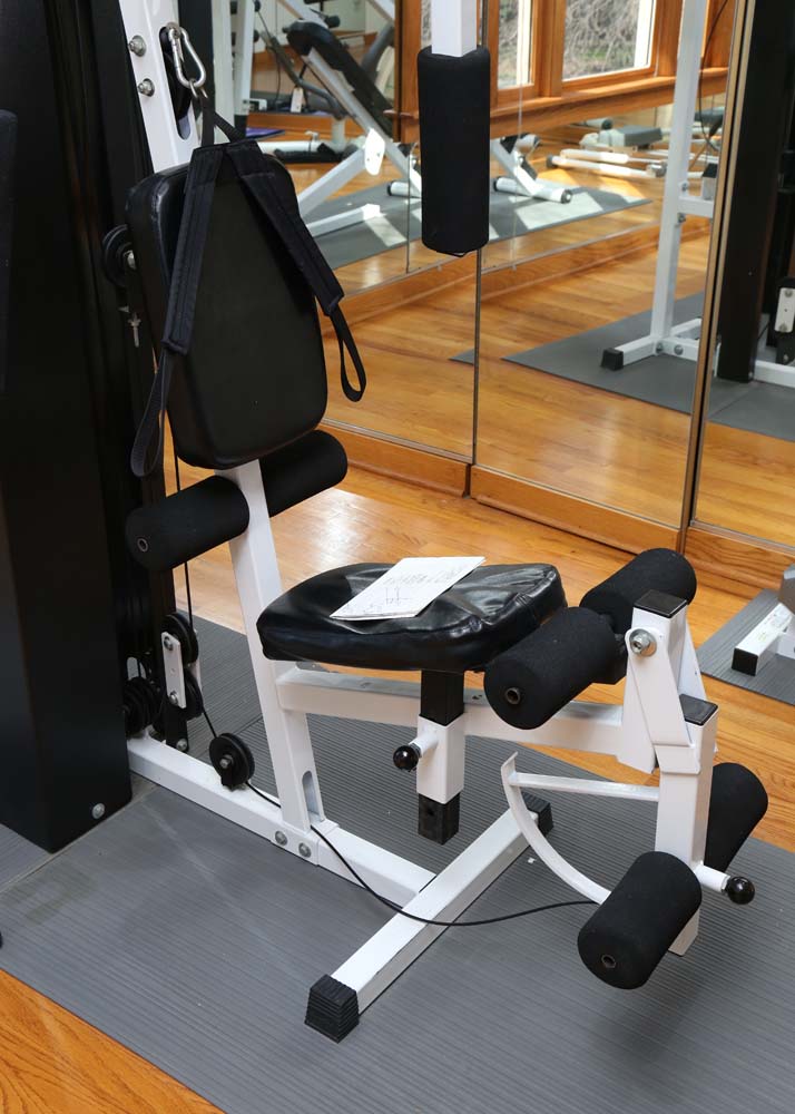 Parabody 425 Multi Station Home Gym | EBTH