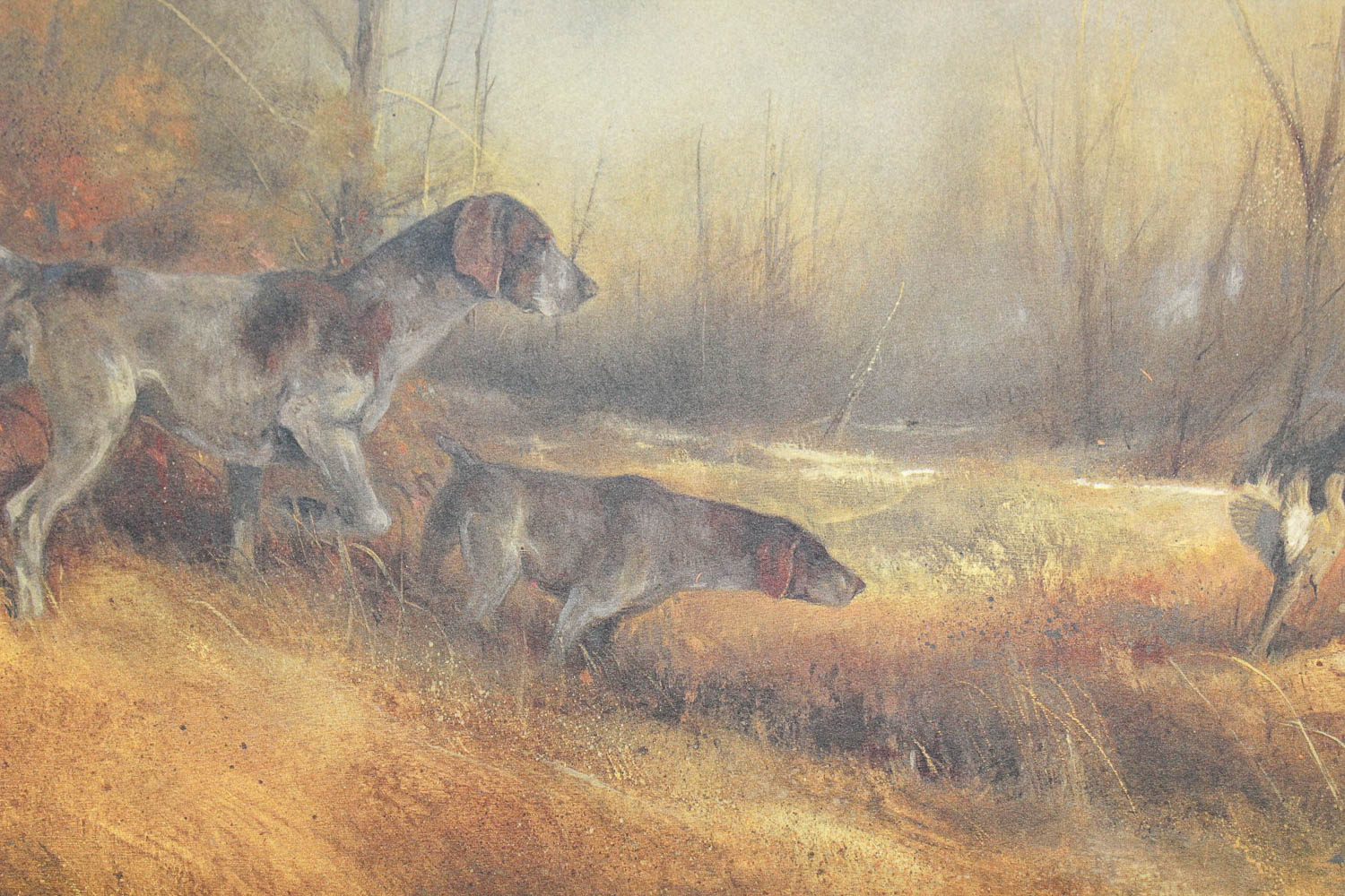 Tom Sander Limited Edition Offset Lithograph "From Cover" | EBTH