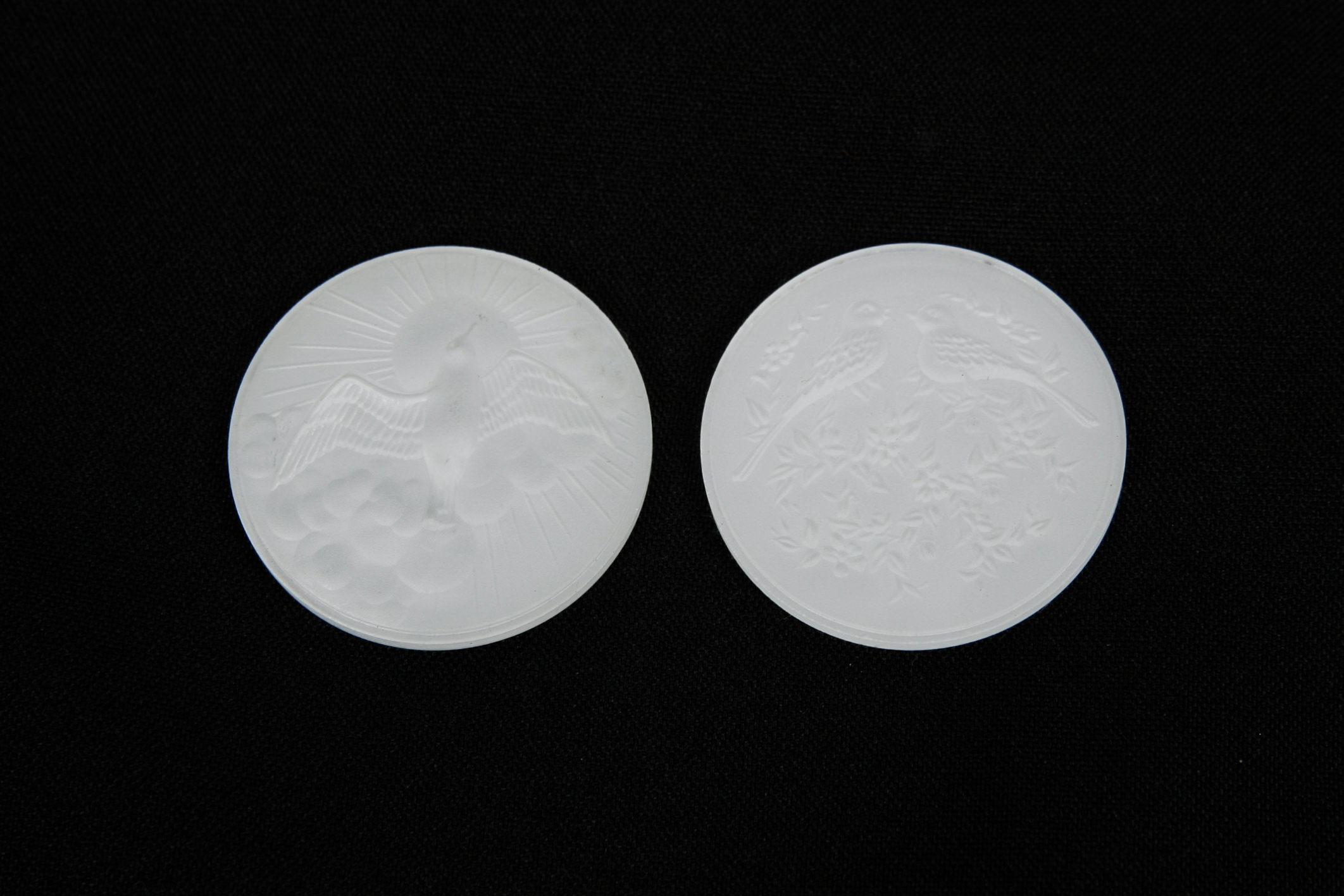 Pair of French Frosted Glass Disks | EBTH