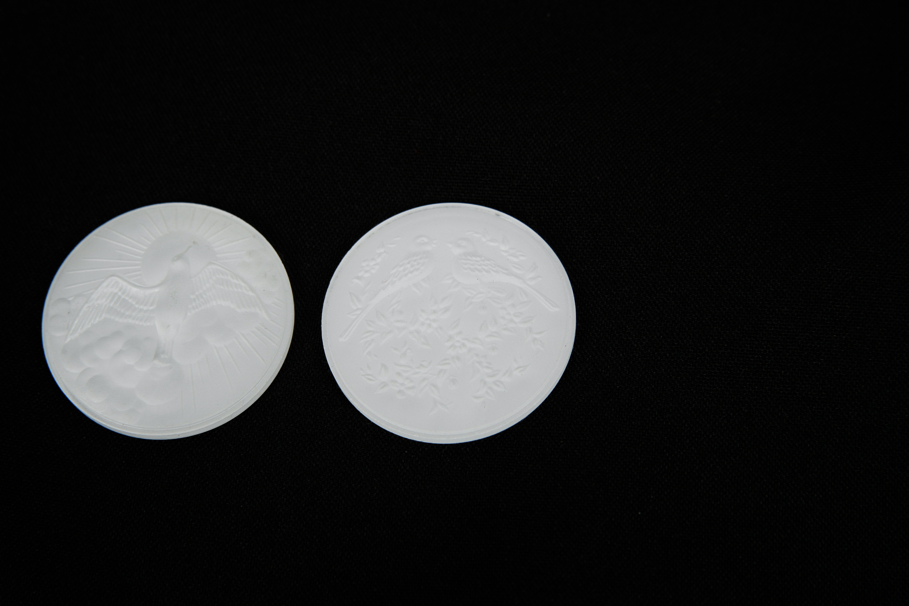 Pair of French Frosted Glass Disks | EBTH