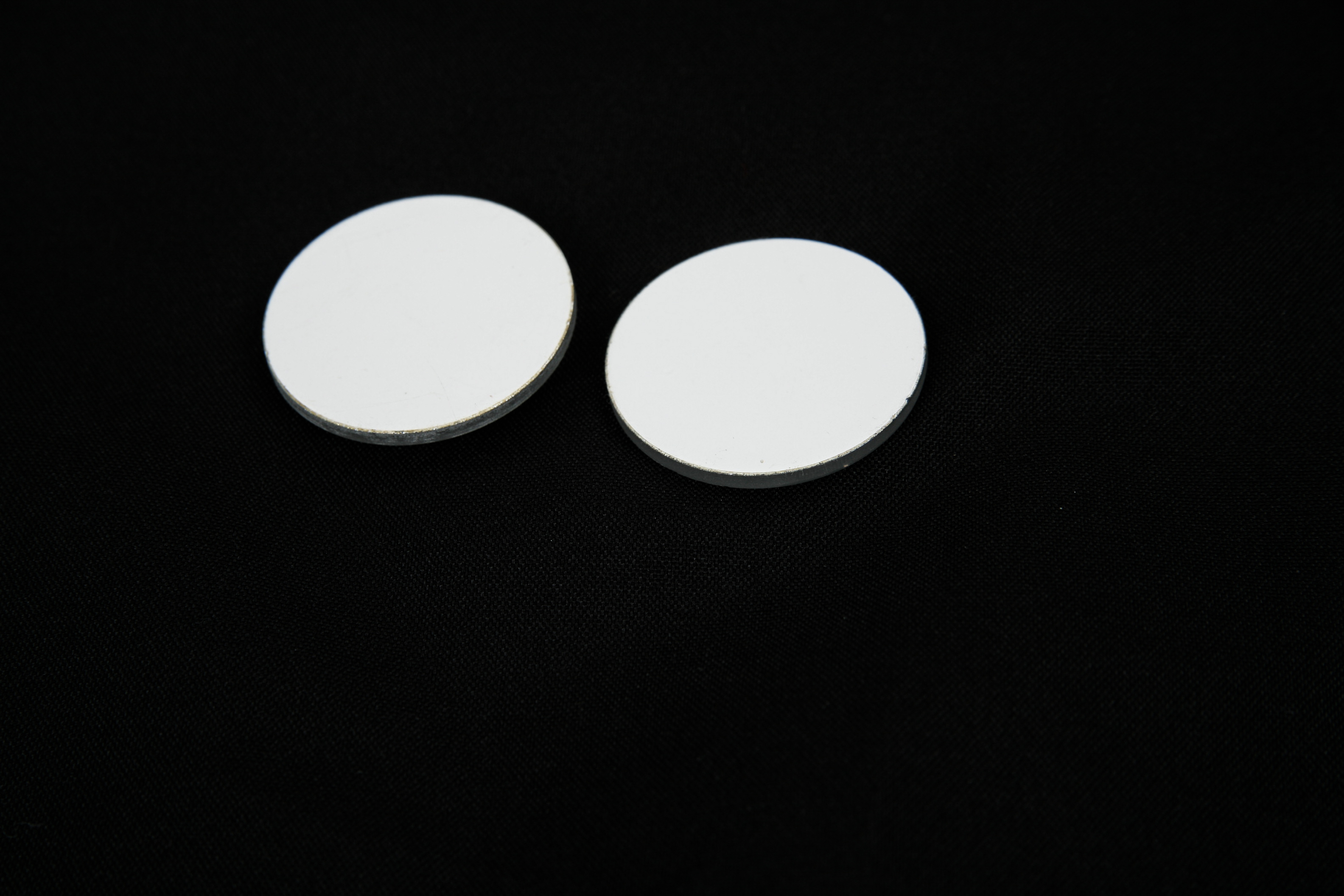 Pair of French Frosted Glass Disks | EBTH