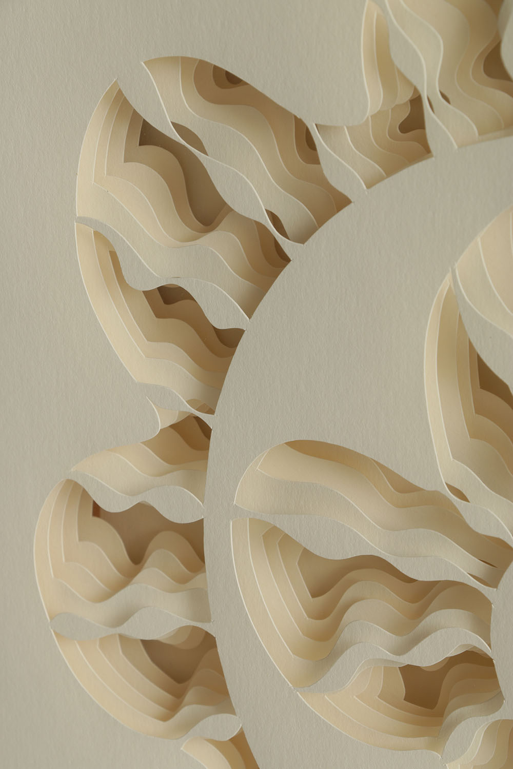 Nancy Muller Limited Edition Cut Paper oPit "Cephalopodia" | EBTH
