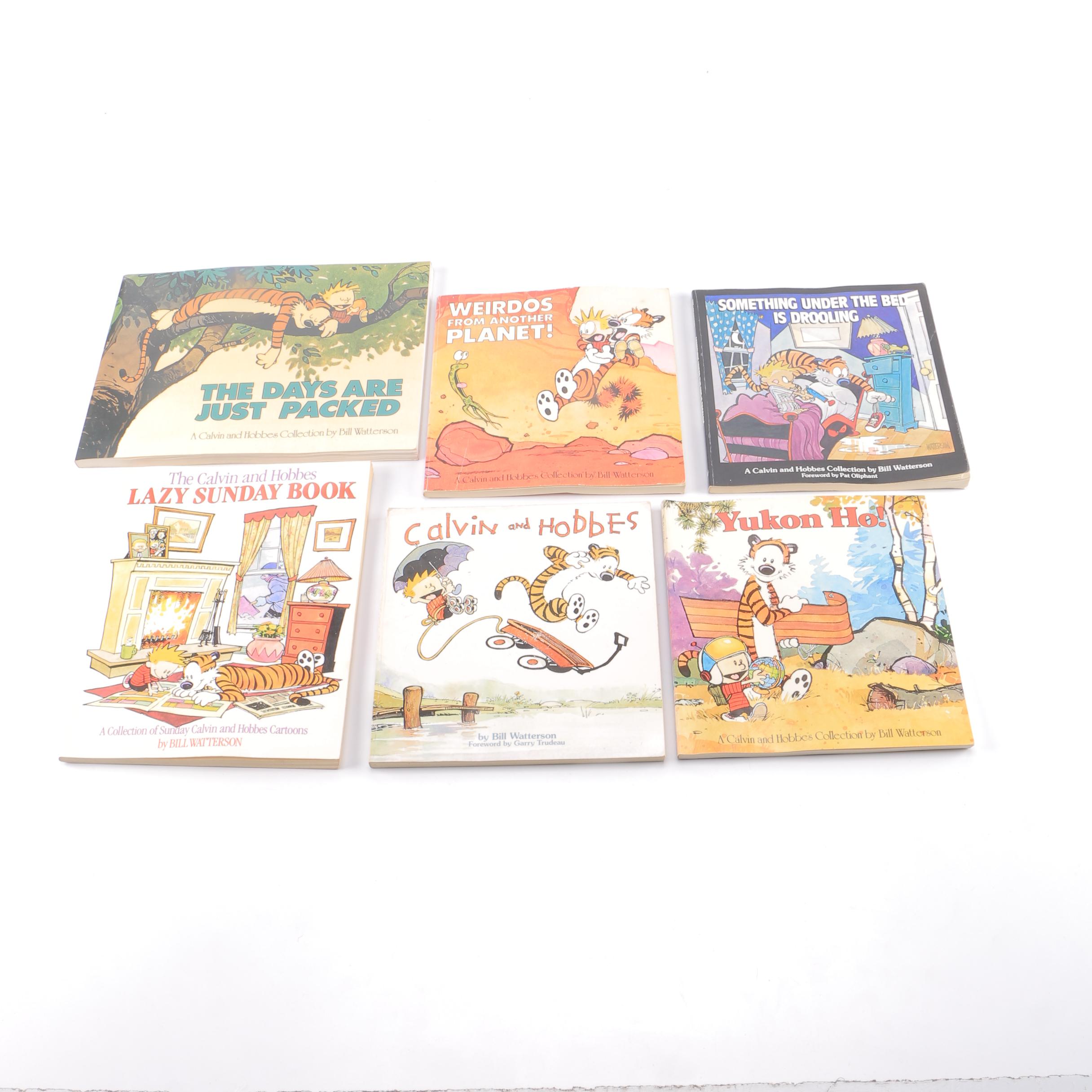 Calvin and Hobbes Books | EBTH