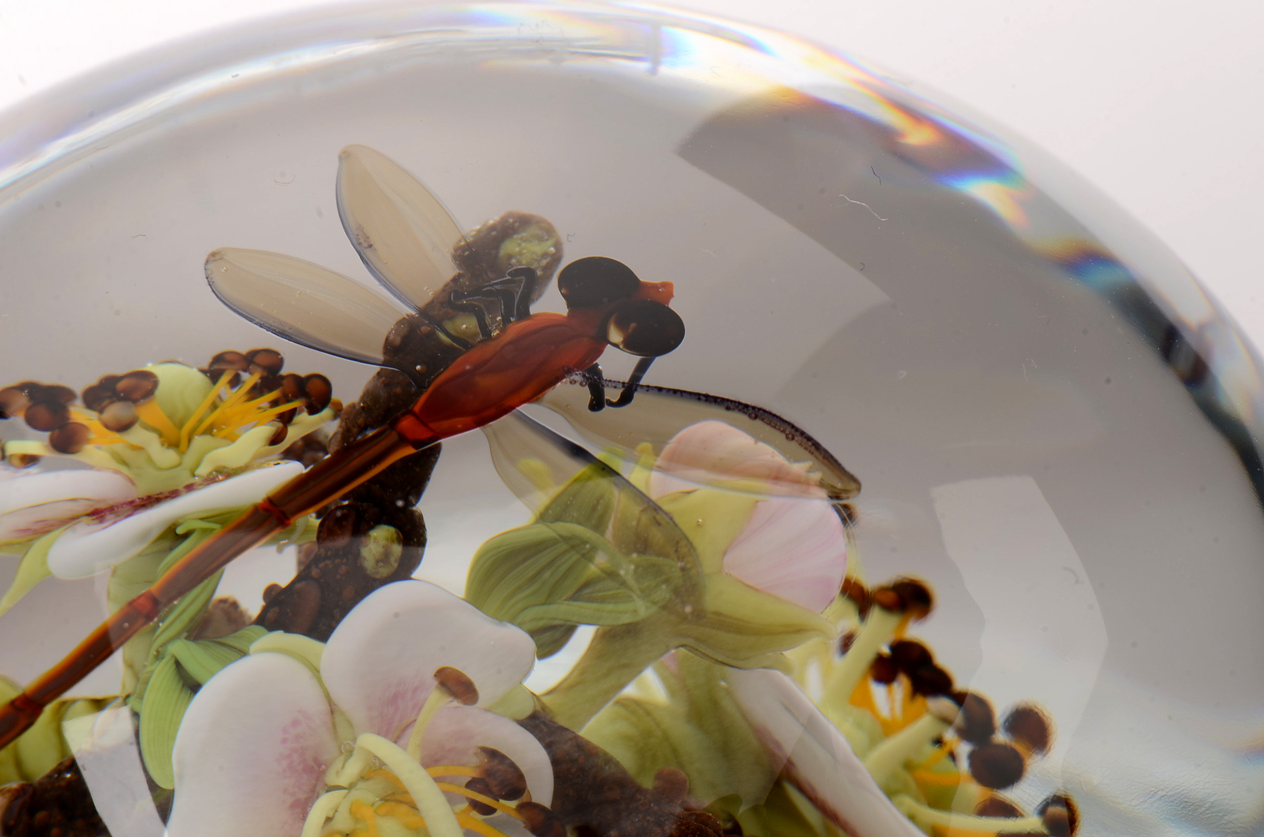 Signed Paul Stankard Handcrafted Art Glass "Fertile Seeds" Paperweight ...