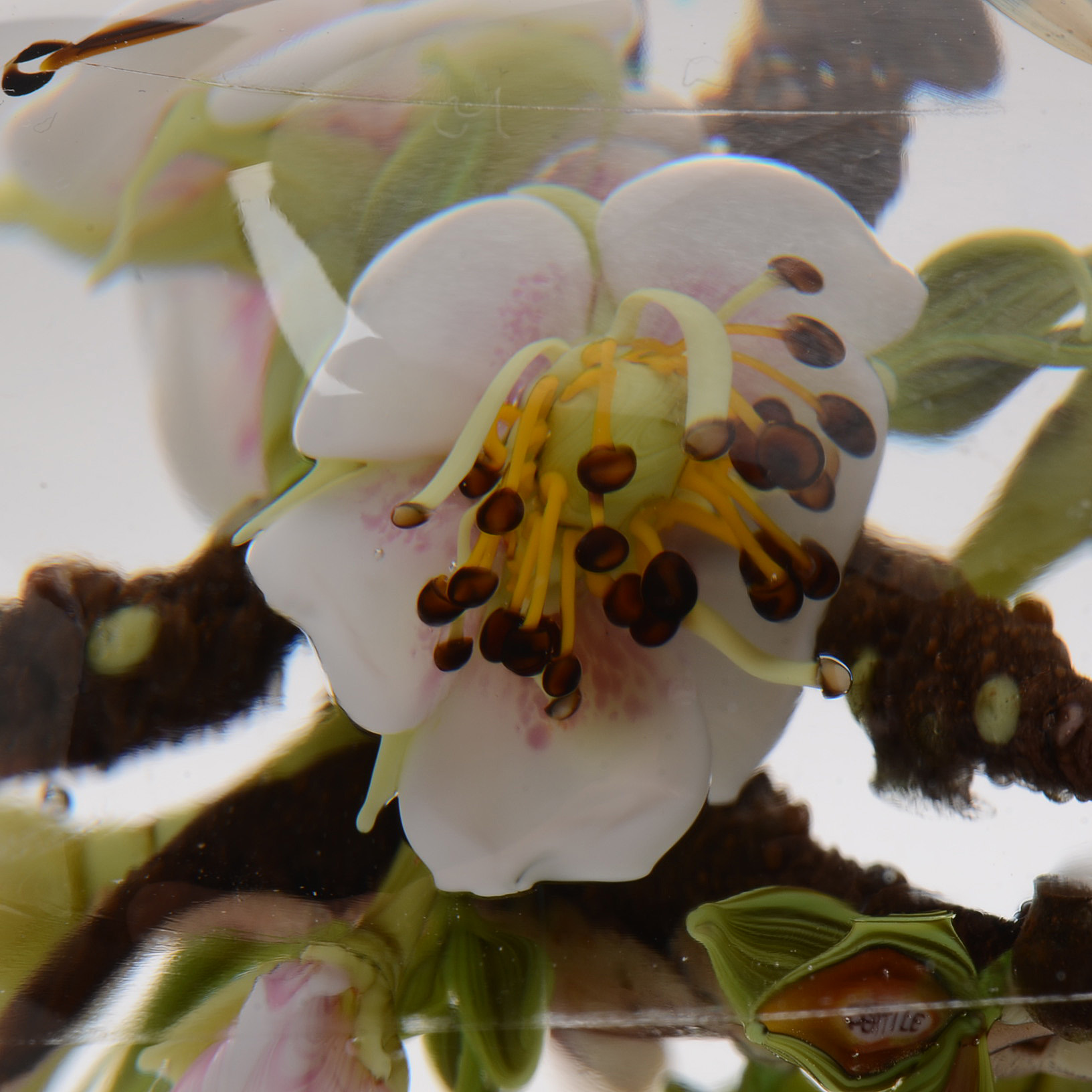 Signed Paul Stankard Handcrafted Art Glass "Fertile Seeds" Paperweight ...