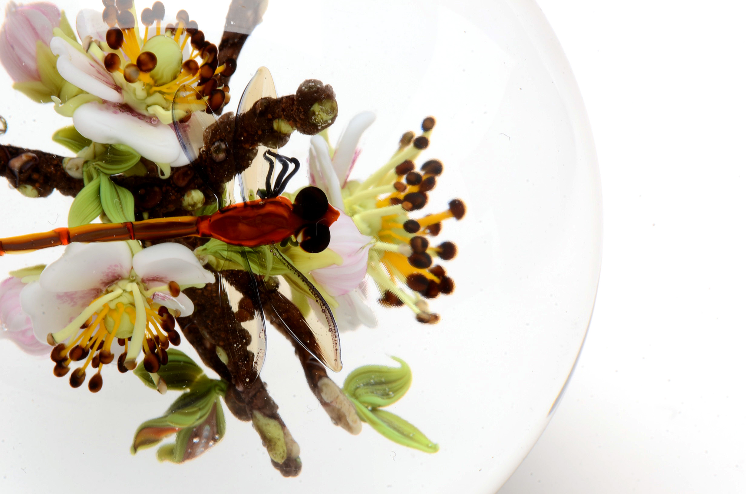 Signed Paul Stankard Handcrafted Art Glass "Fertile Seeds" Paperweight ...