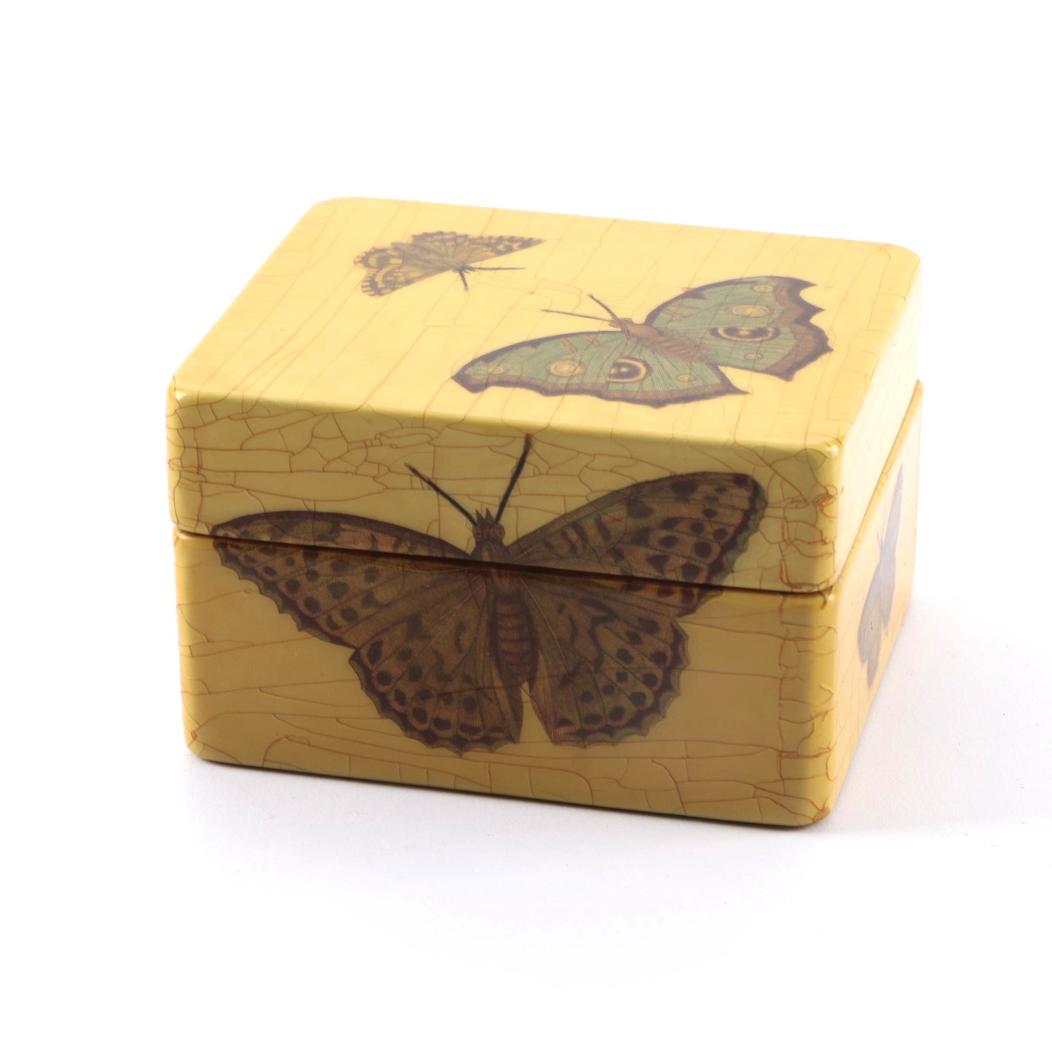 Butterfly Trinket Box | EBTH