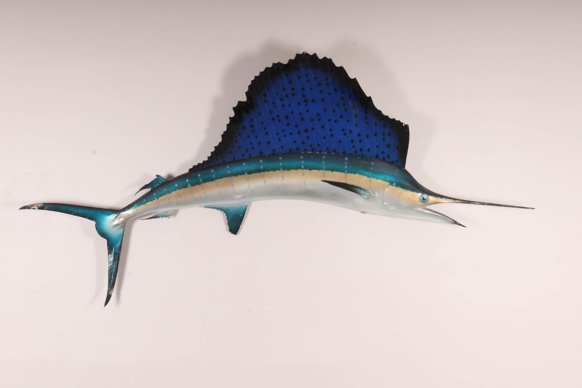 Sailfish Trophy Wall Mounted Fish Replica | EBTH